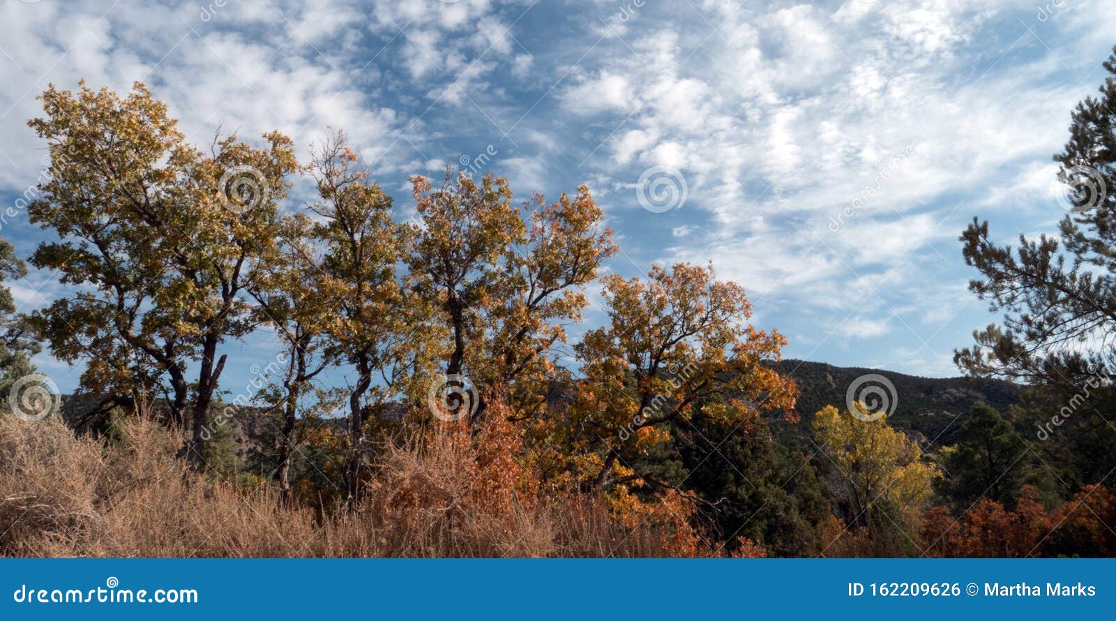 Autumn at Beaver Dam State Park in Nevada Stock Photo - Image of ...