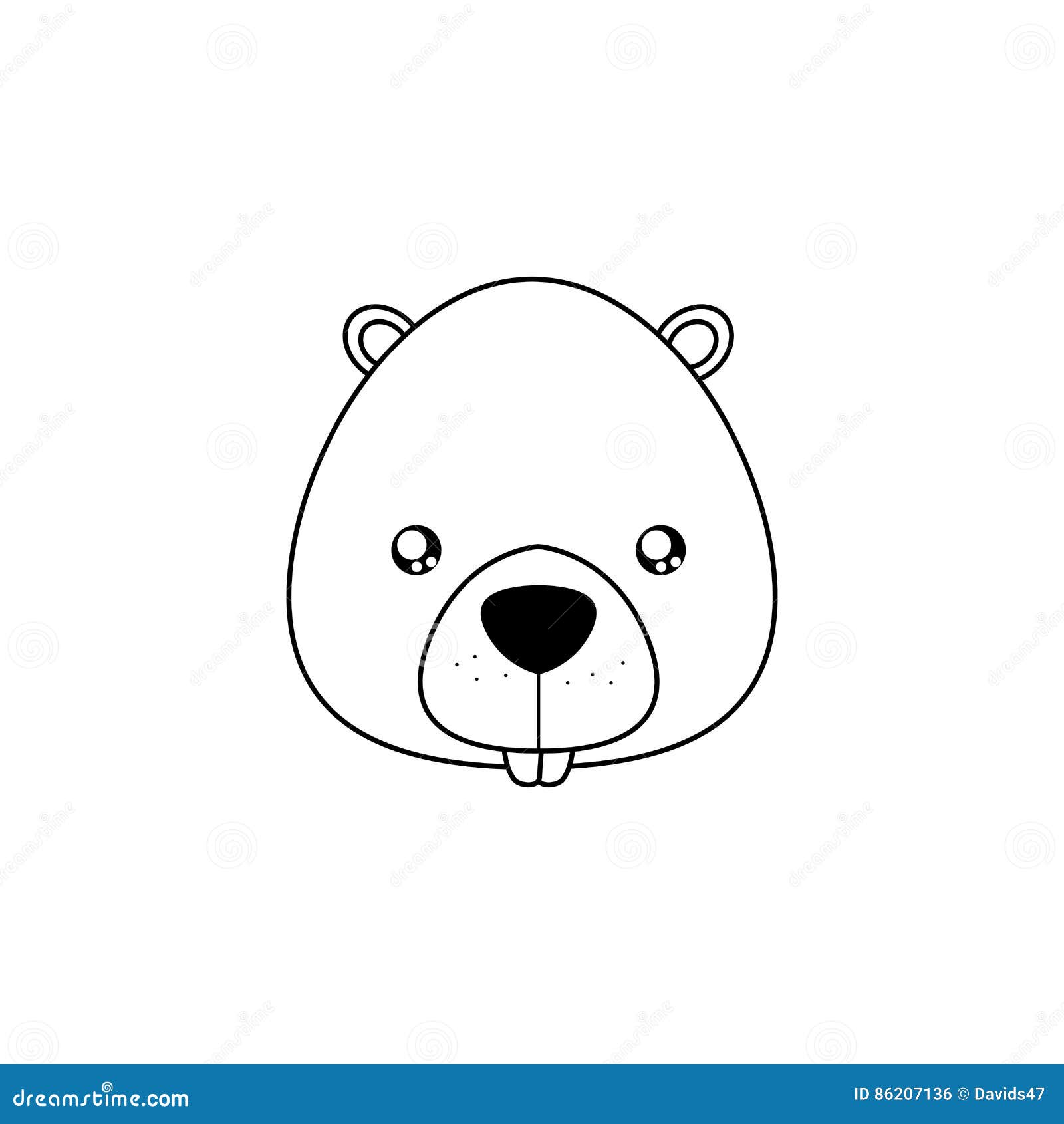 Beaver Drawing Face stock vector. Illustration of collection - 86207136