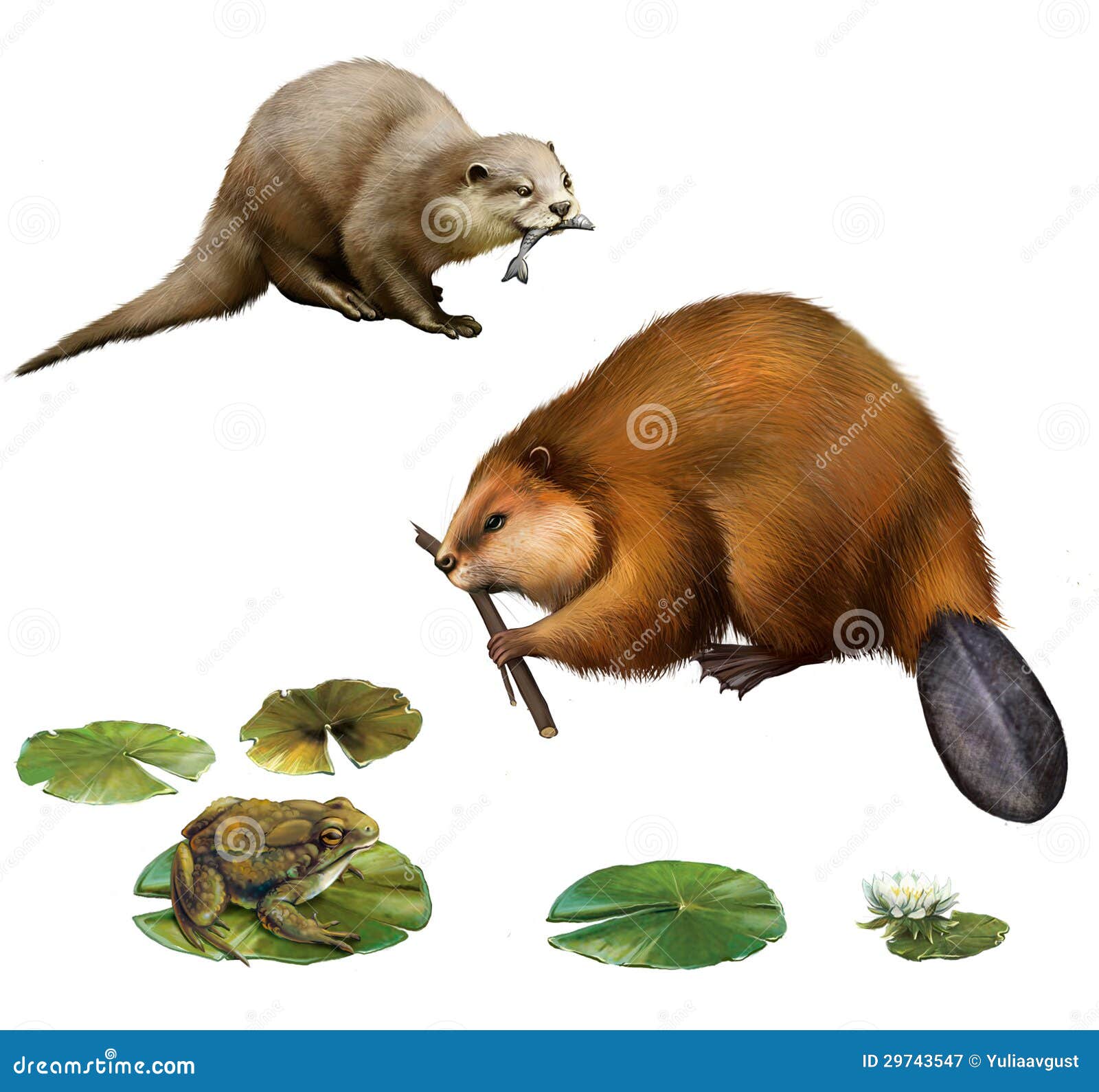 Frog Laying Down Preaching Flat Cartoon Green Friendly Reptile Animal ...