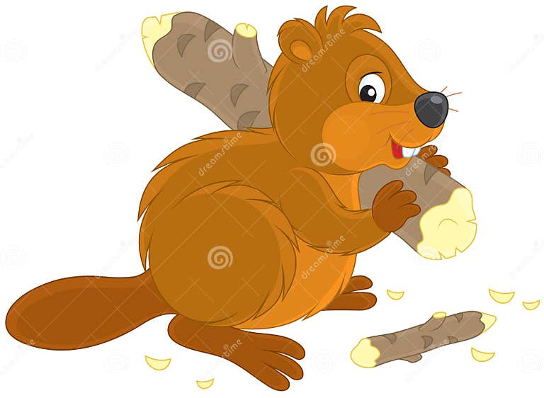 Beaver stock vector. Illustration of cartoony, cartoon - 40880372