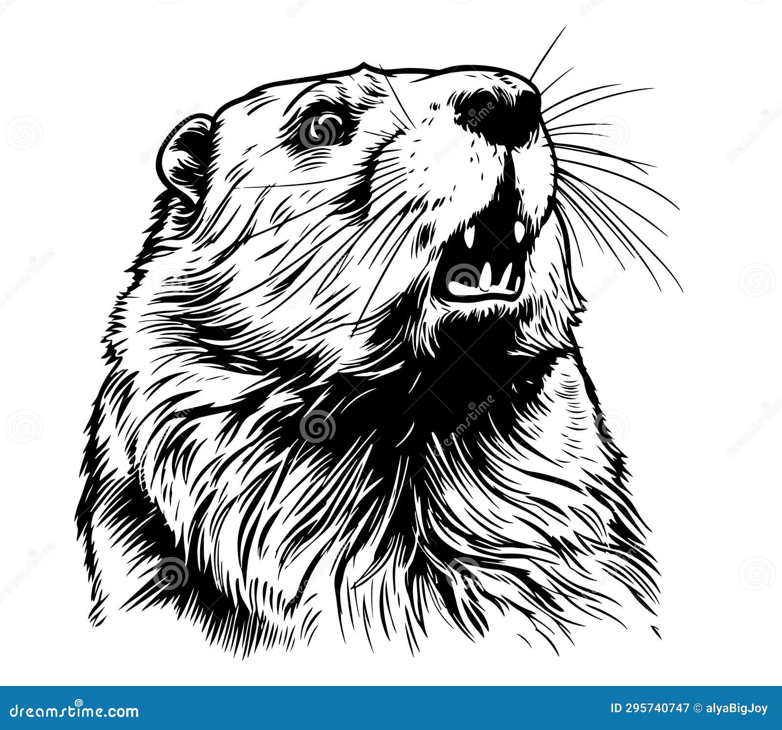 Beaver Head Sketch Hand Drawn Vector Illustration Stock Illustration ...