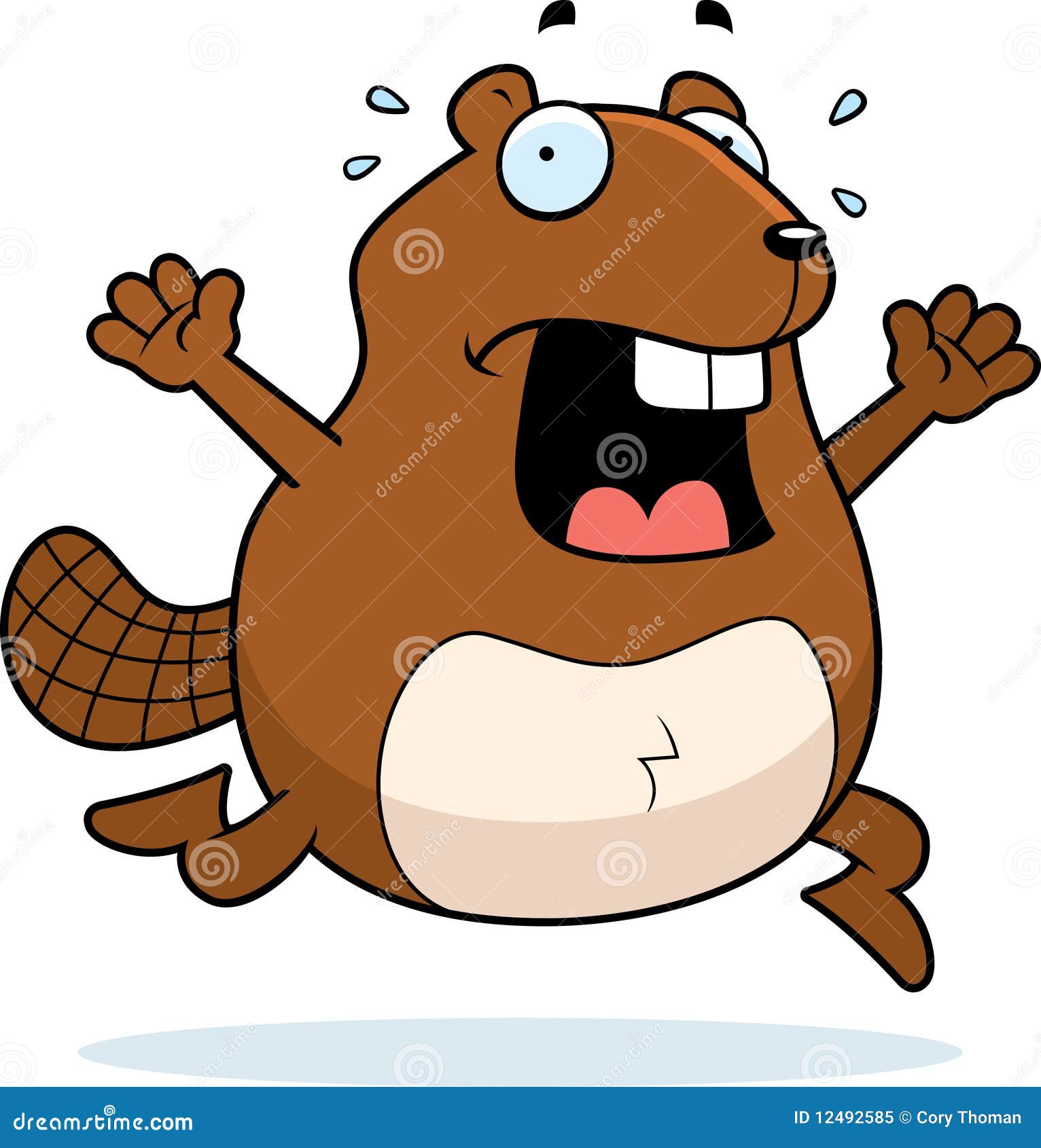 Beaver Panic stock vector. Illustration of fleeing, illustration - 12492585