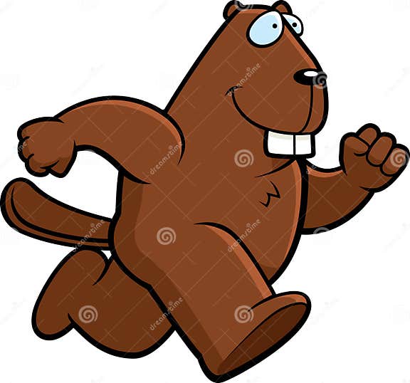 Beaver Running stock vector. Illustration of animal, running - 6894661