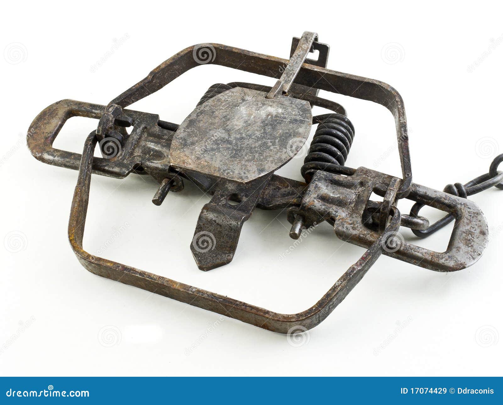 Beaver trap stock image. Image of wolftrap, beartrap - 17074429