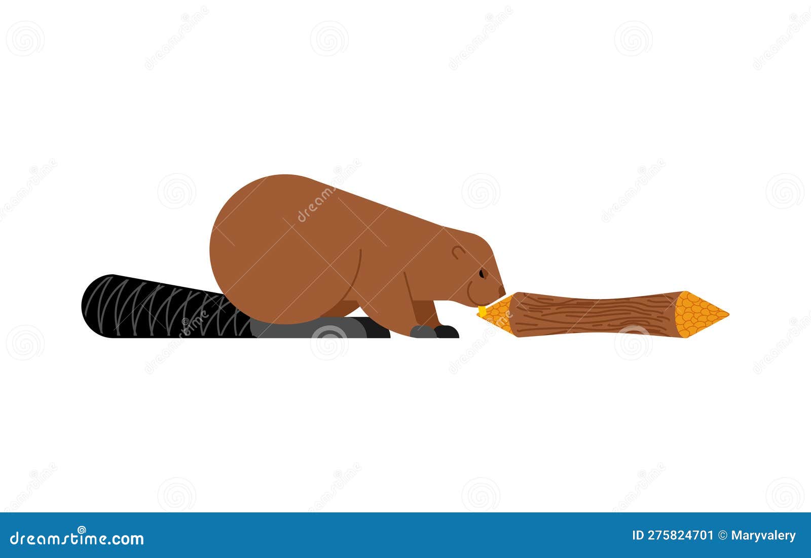 Beaver Rodent Mammal. Scratch Board Imitation. Black And White Hand ...