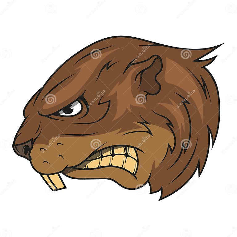 Beaver. Vector Illustration of a Angry Beaver with Two Sharp Teeth and ...