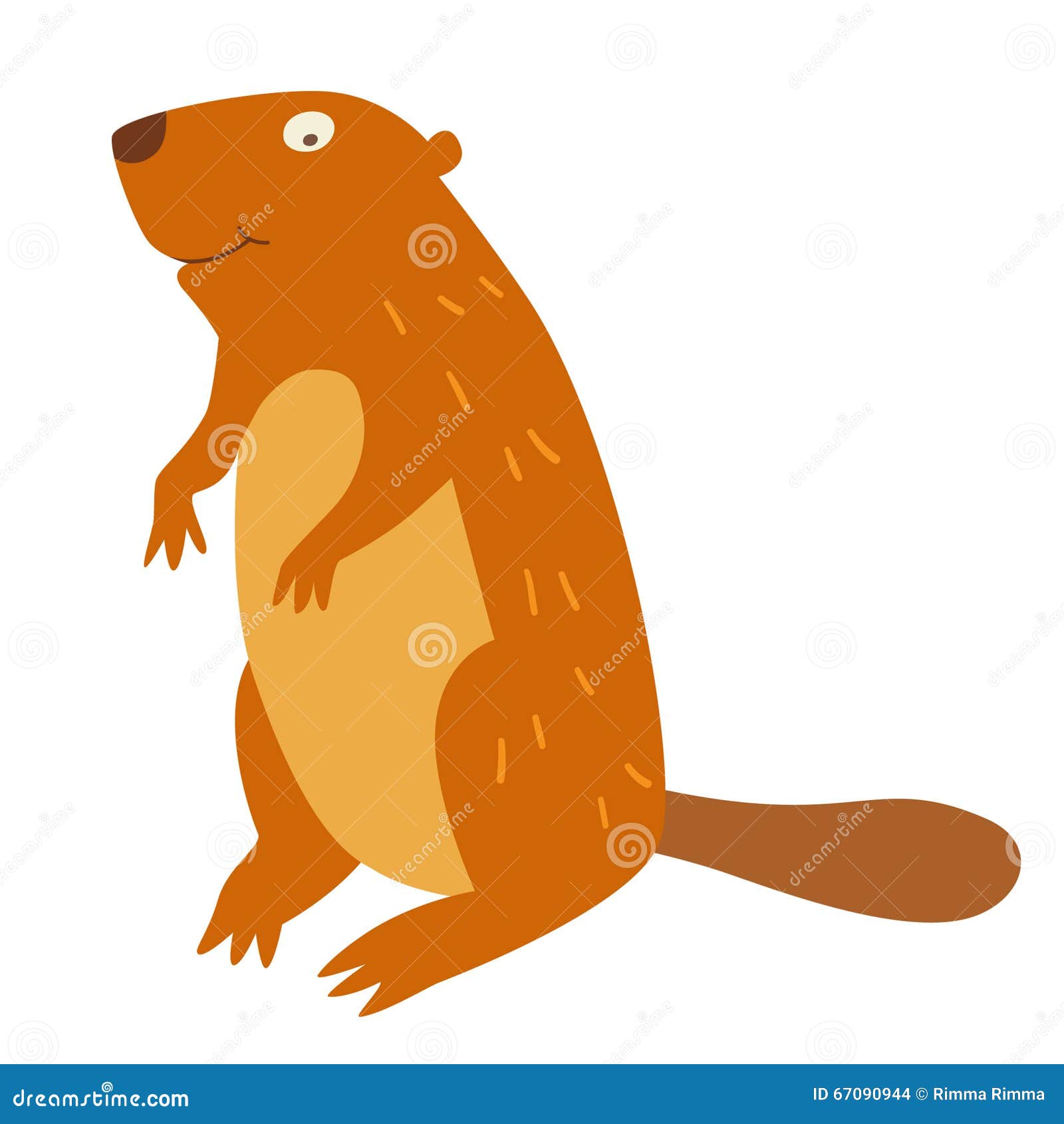 Beaver. Vector Illustration Stock Vector - Illustration of species ...