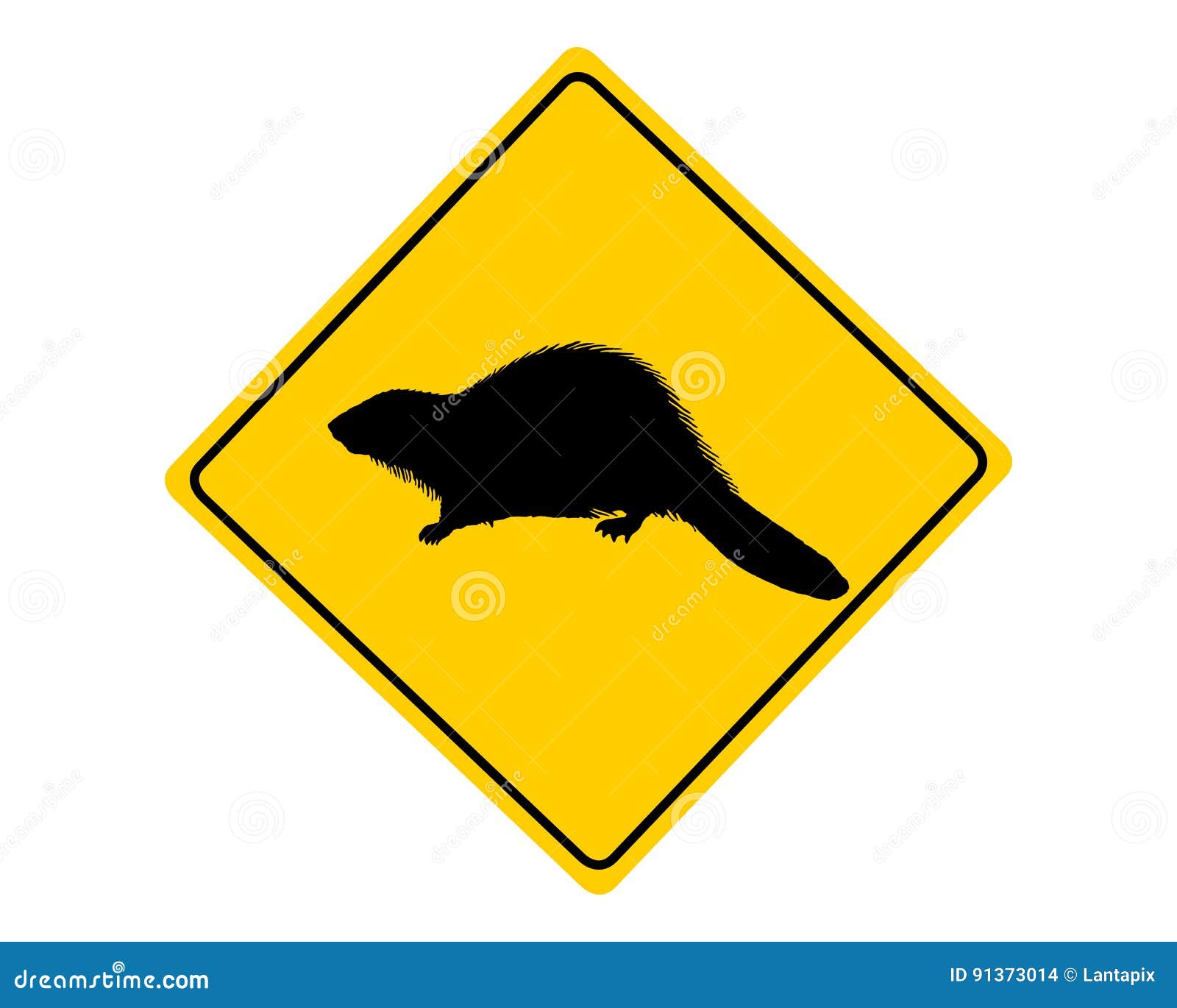Beaver warning sign stock vector. Illustration of isolated - 91373014