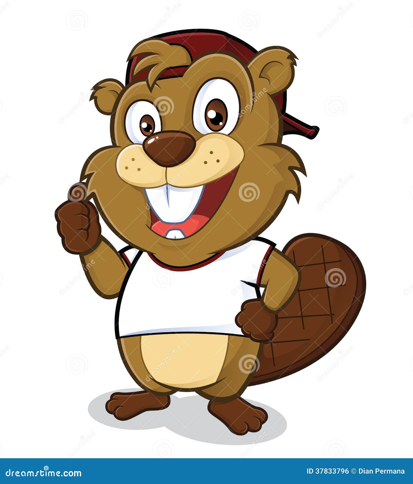 Beaver Wearing A Hat And A White T Shirt Vector Illustration ...