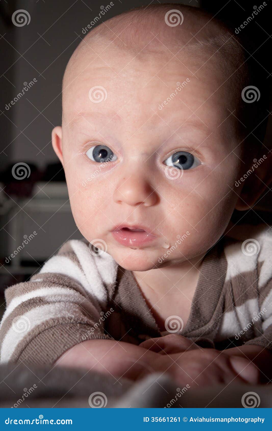 Bebé calvo adorable imagen de archivo. Imagen de adorable - 35661261