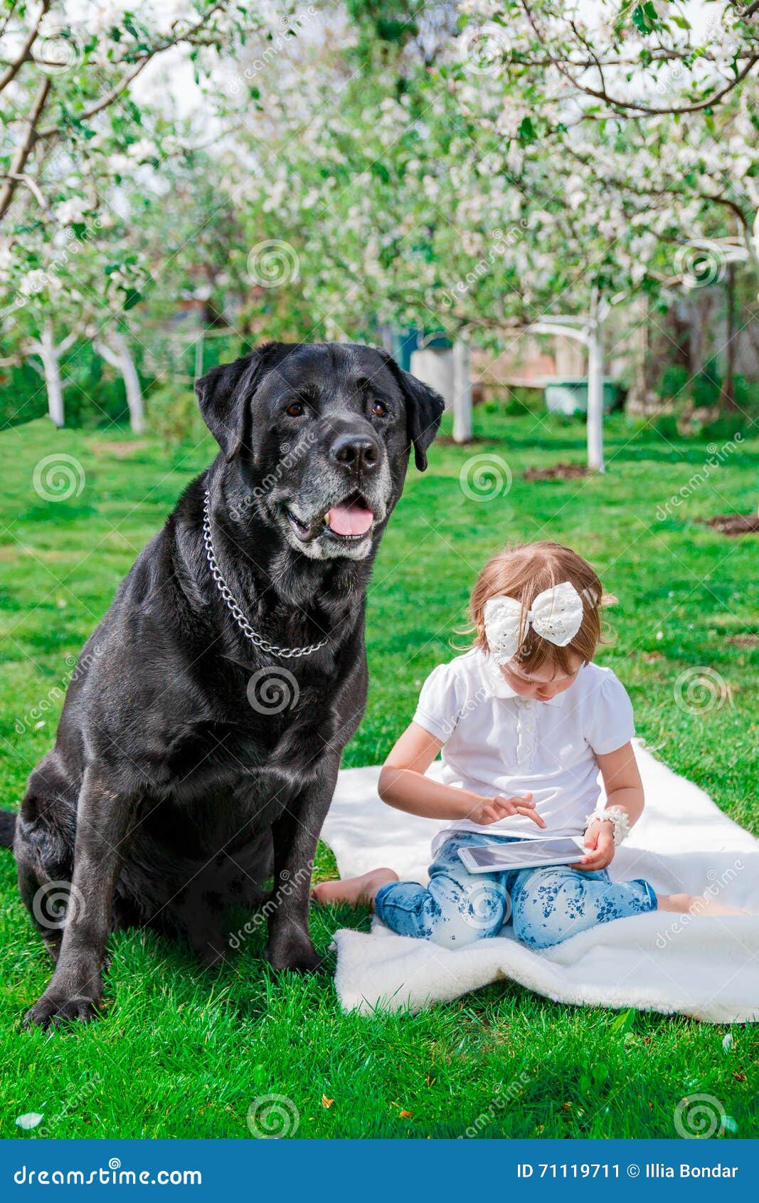 Bebé con Labrador negro imagen de archivo. Imagen de cabrito - 71119711