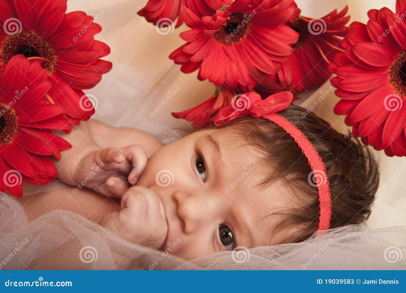 Bebé con las flores rojas imagen de archivo. Imagen de rojo - 19039583
