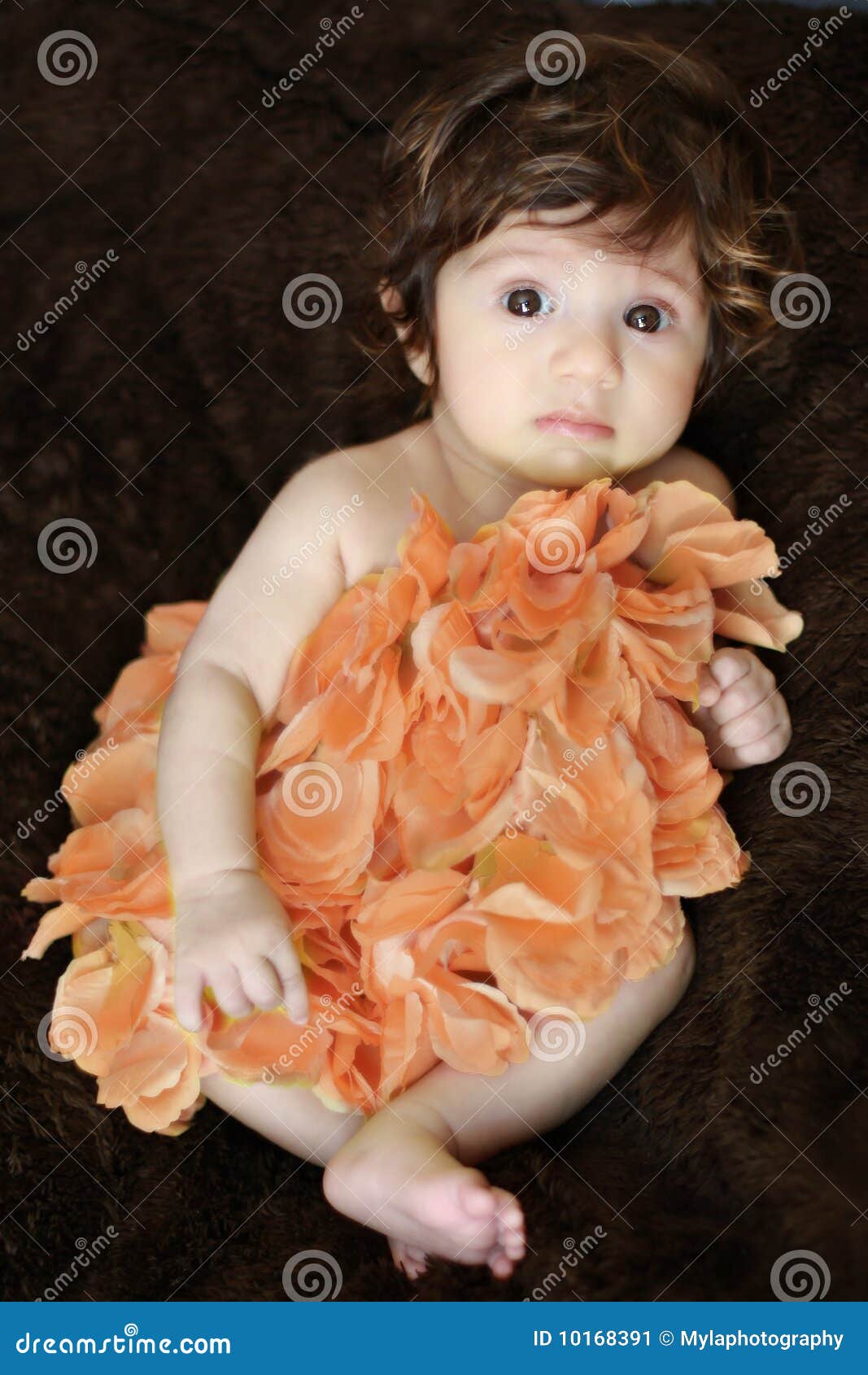 Bebé de la flor imagen de archivo. Imagen de bebé, hermoso - 10168391