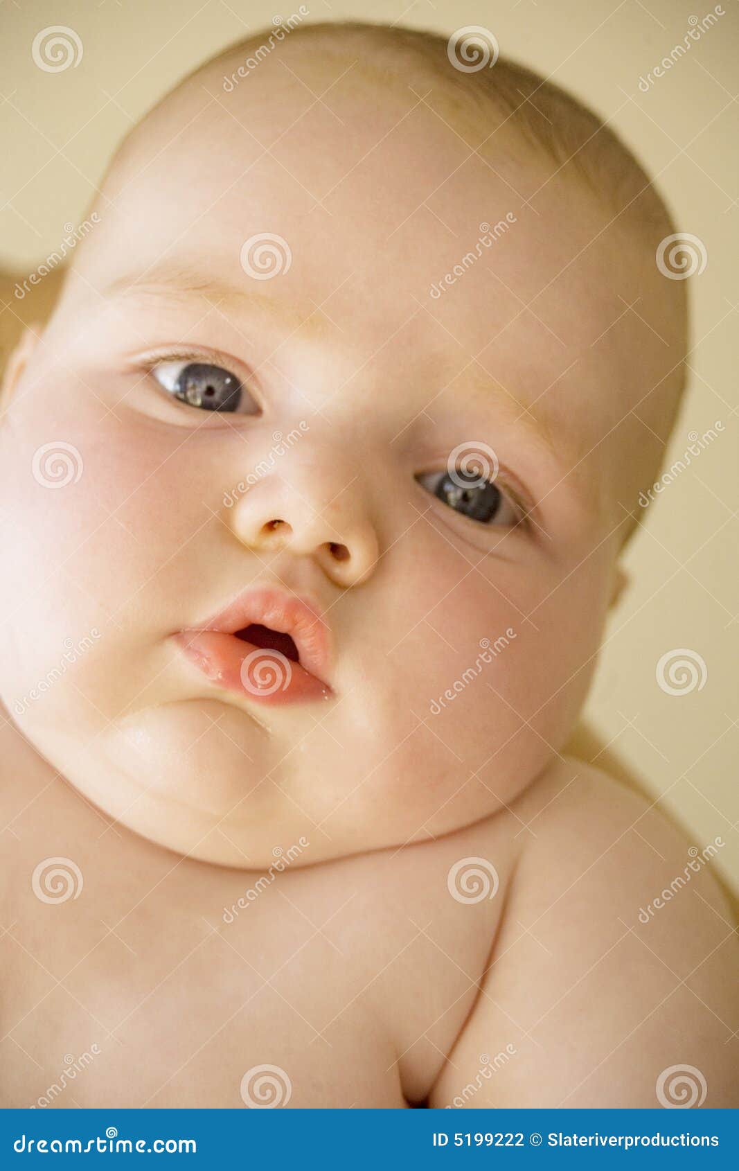 Bebé rechoncho foto de archivo. Imagen de rechoncho, bebé - 5199222