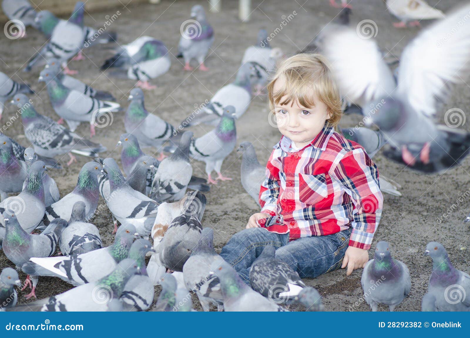 Bebé Rodeado Por Las Palomas Foto de archivo - Imagen de escena, paloma ...