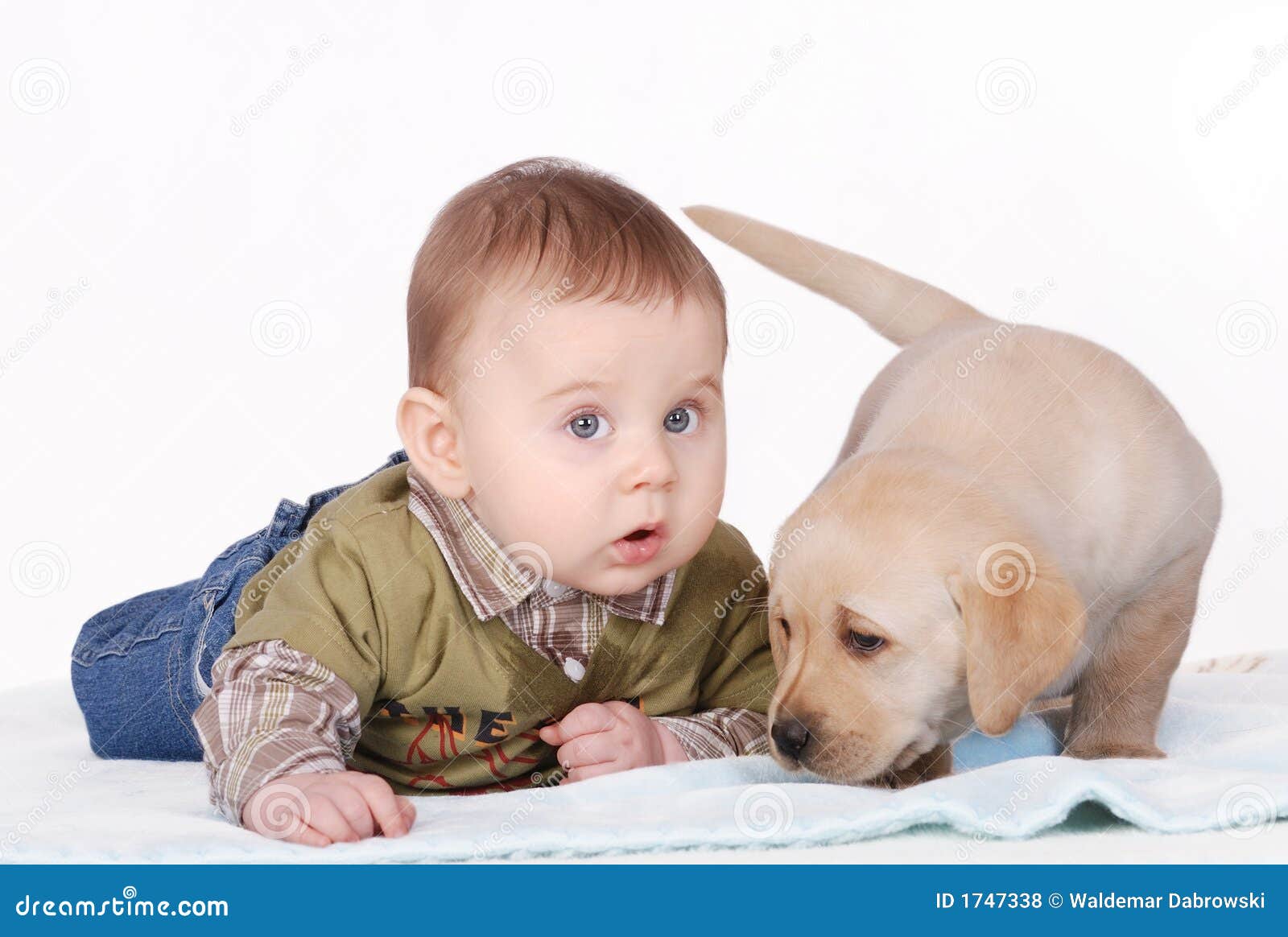 Bebé Y Perrito Fotos de archivo libres de regalías - Imagen: 1747338