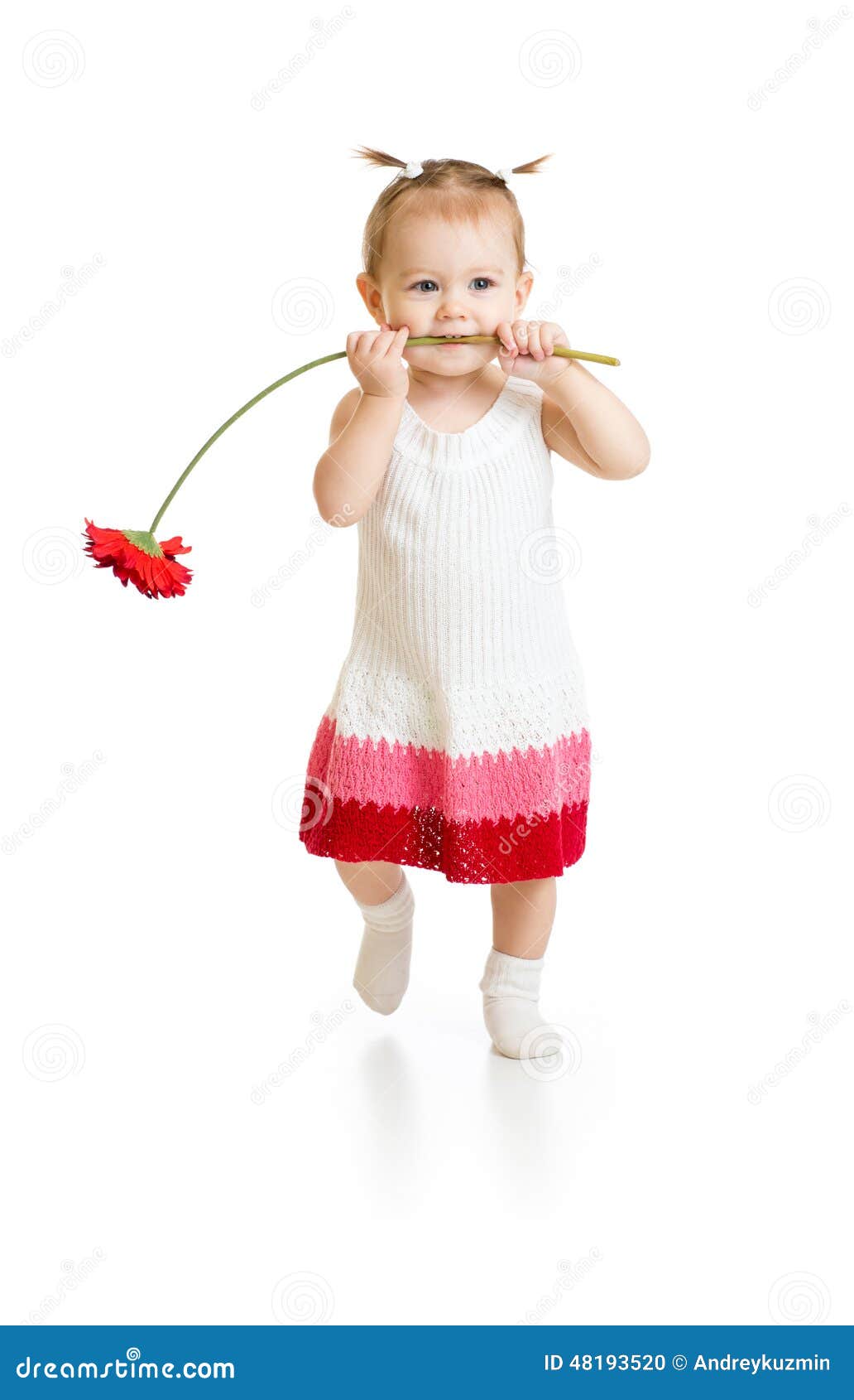 Bebê Adorável Que Anda Com a Flor Na Boca Foto de Stock - Imagem de ...