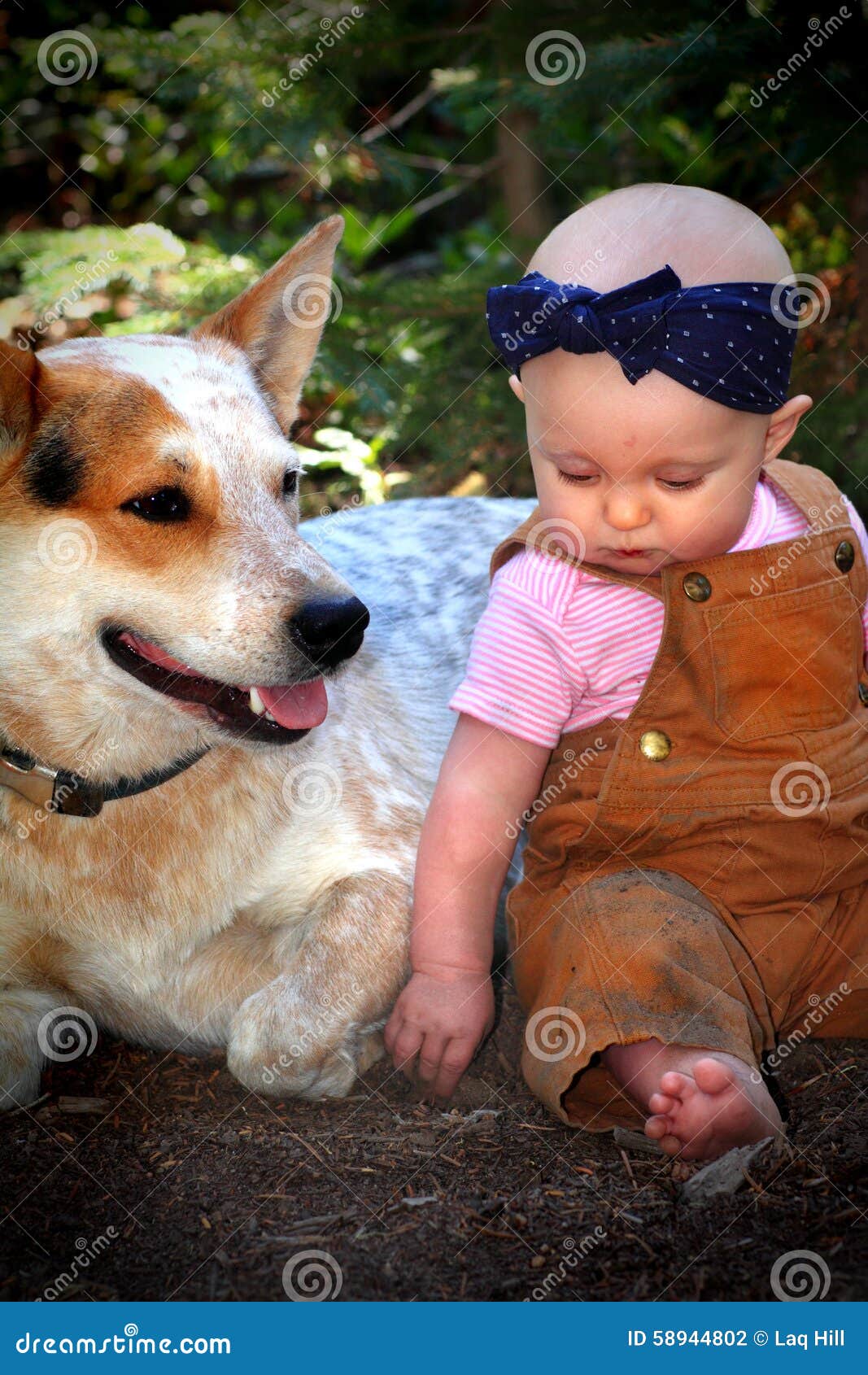 Bebê Calvo Na Sujeira Com Cão Foto de Stock - Imagem de infante, feliz ...