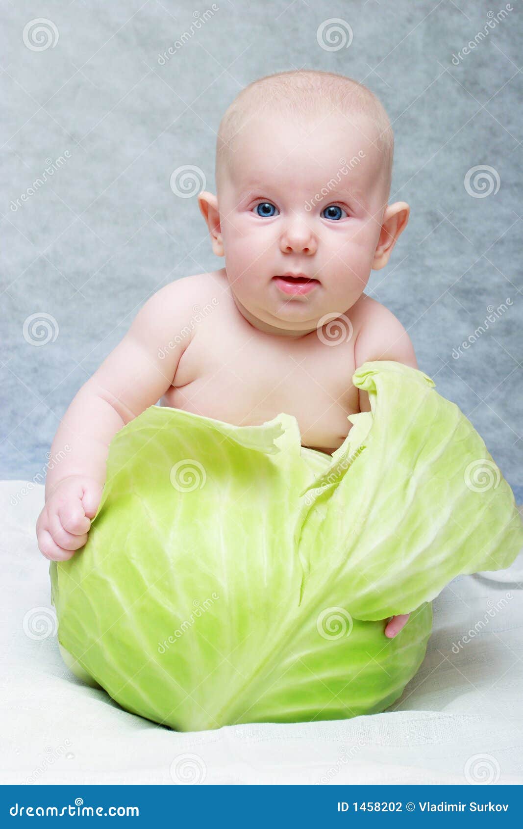 Bebê carregado do repolho foto de stock. Imagem de alimento - 1458202