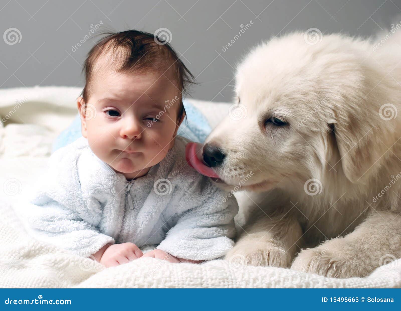 Bebê e filhote de cachorro imagem de stock. Imagem de bebê - 13495663