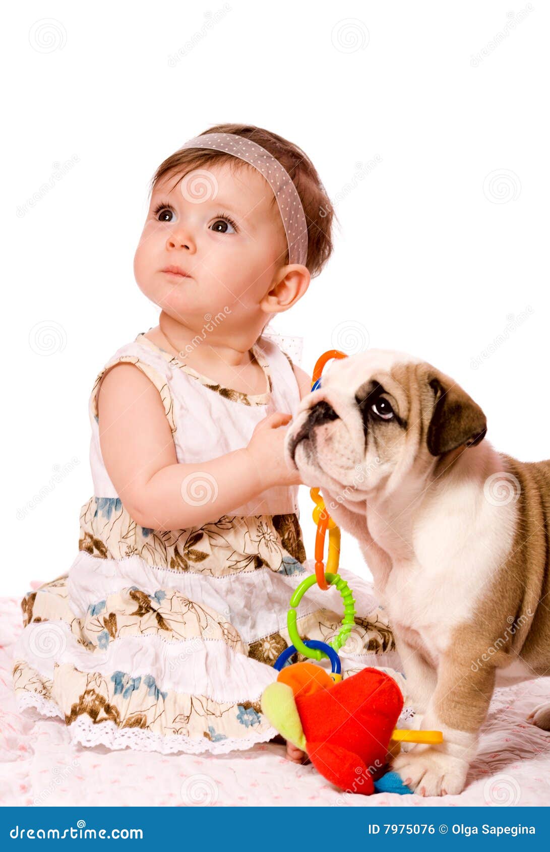 Bebê e filhote de cachorro foto de stock. Imagem de fundo - 7975076