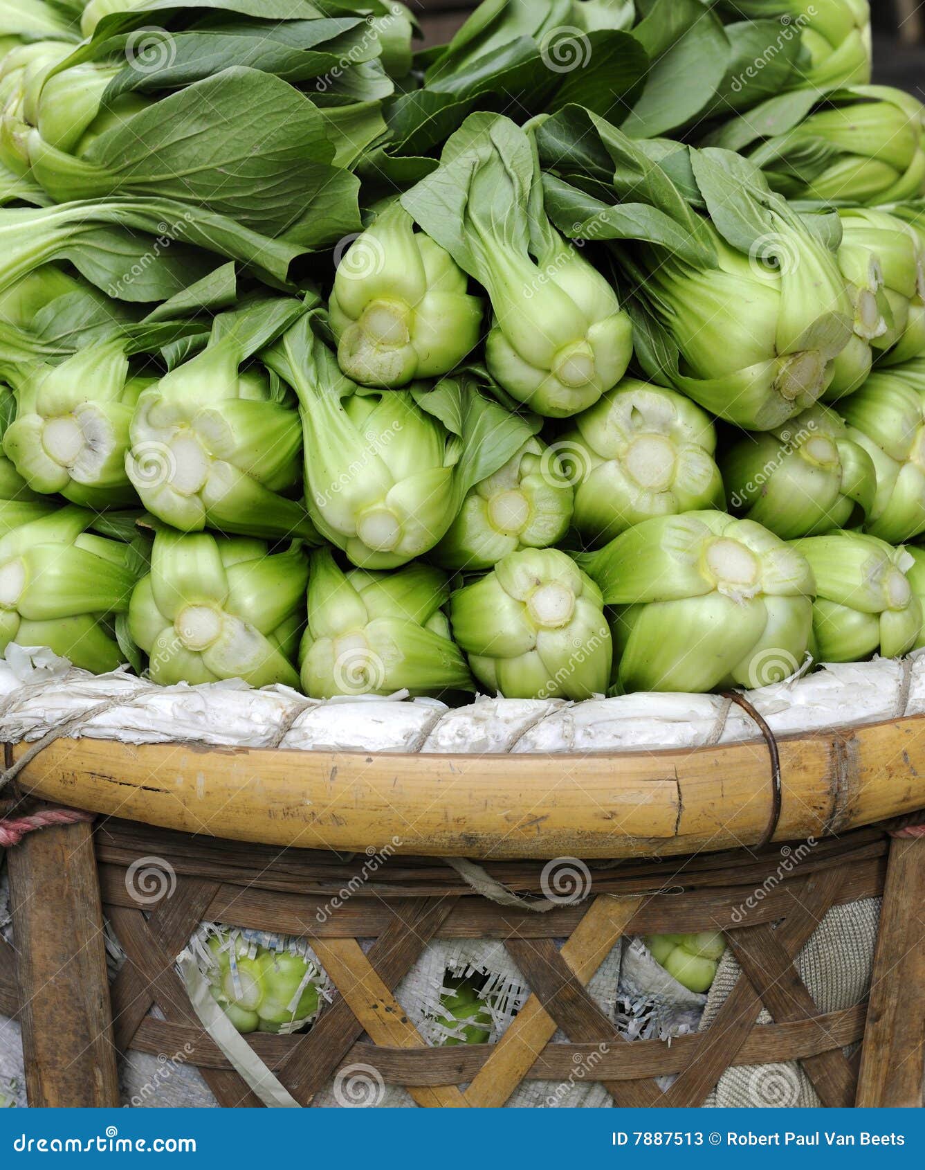 Bebê Pak Choy (repolho Chinês) Imagem de Stock - Imagem de vegetal ...