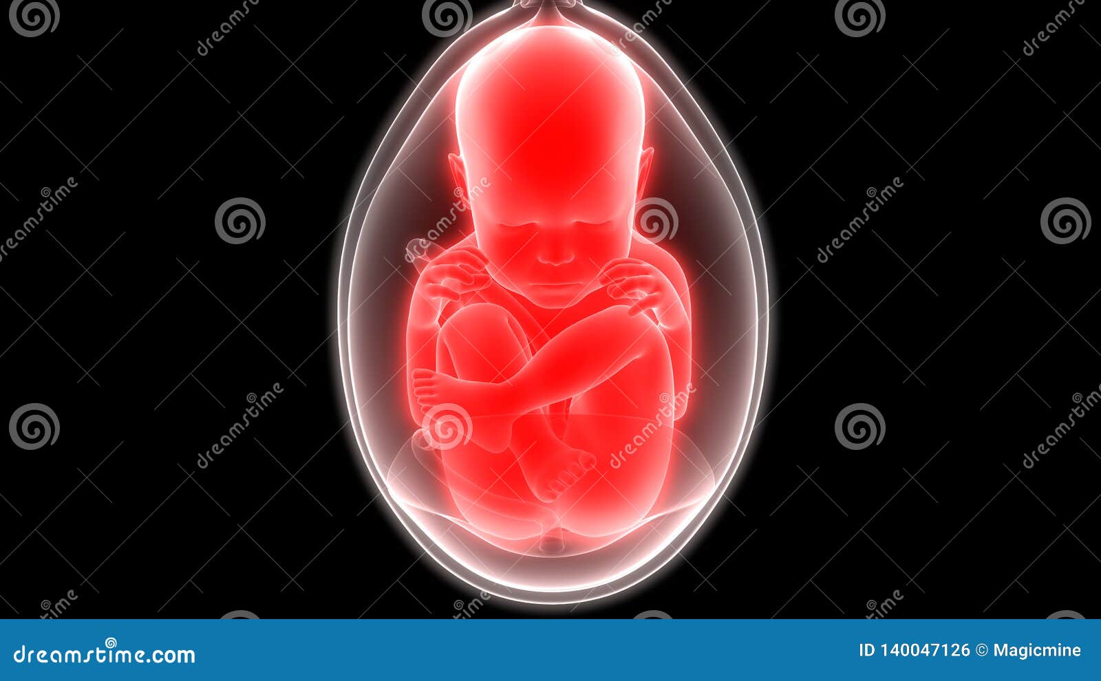 Beb? Del Feto En Anatom?a De La Matriz Stock de ilustración ...