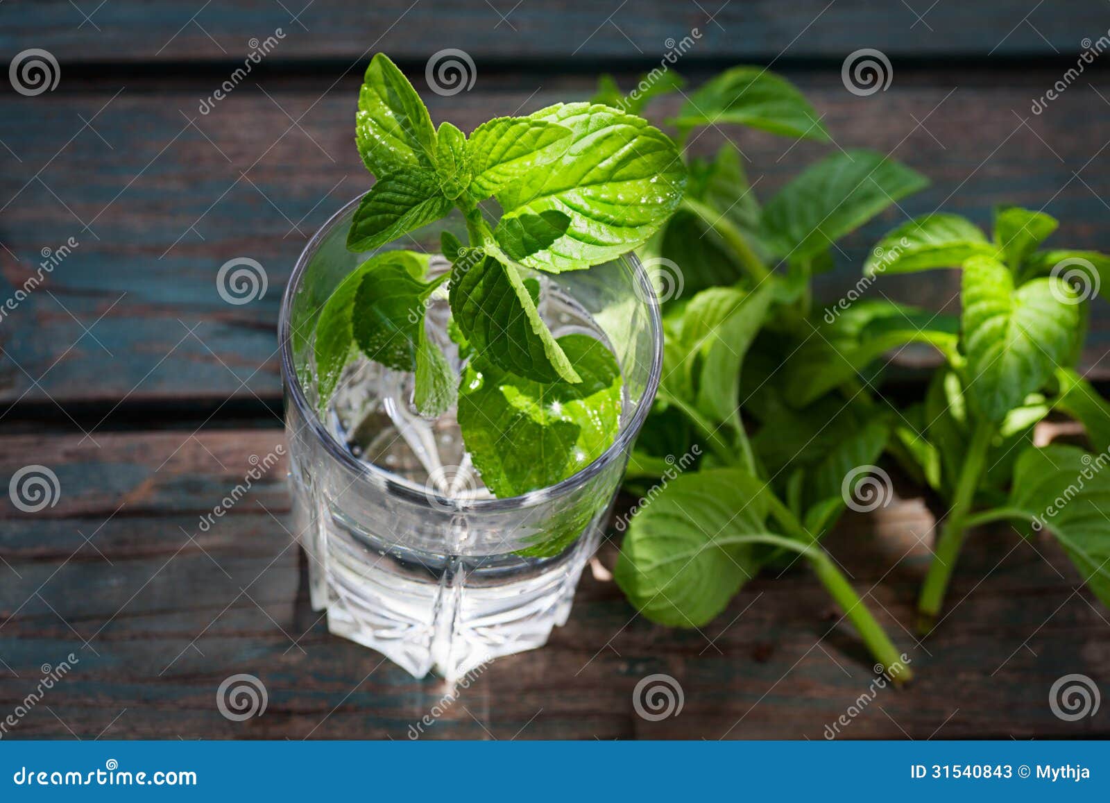 Bebida Efervescente Con La Menta Imagen de archivo - Imagen de refresco ...