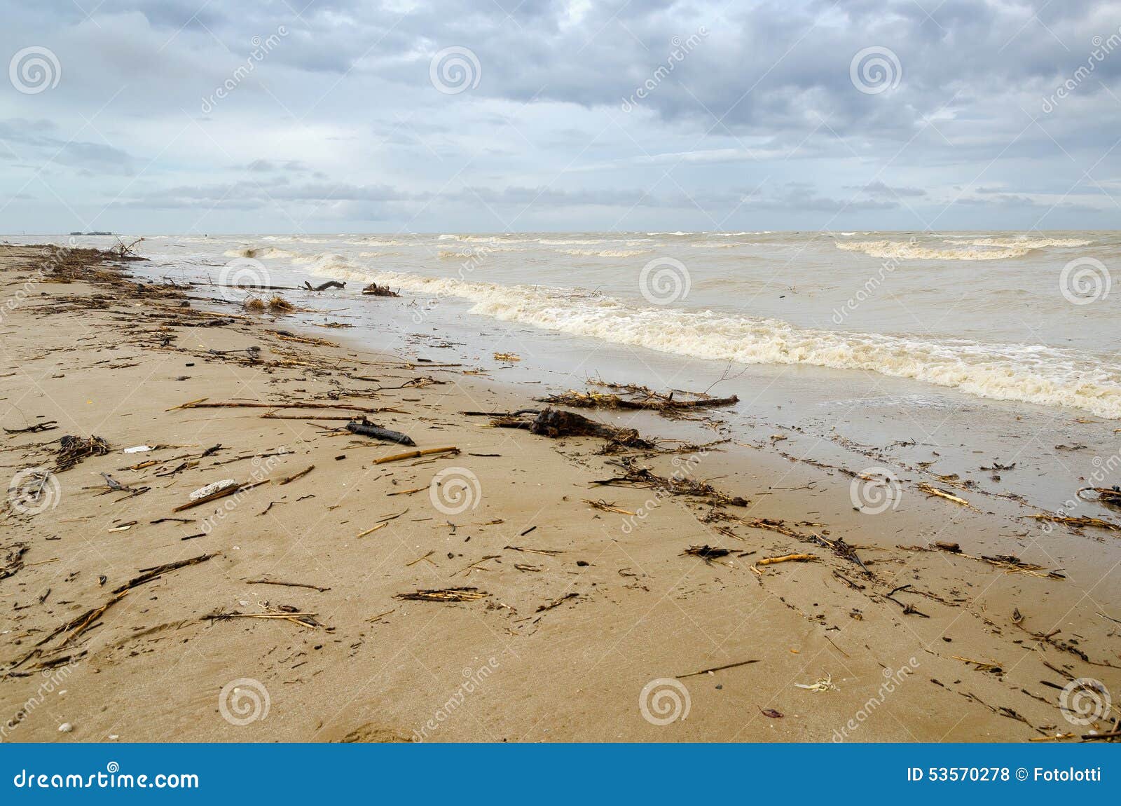 Bebris on the shoreline stock photo. Image of storm, shoreline - 53570278