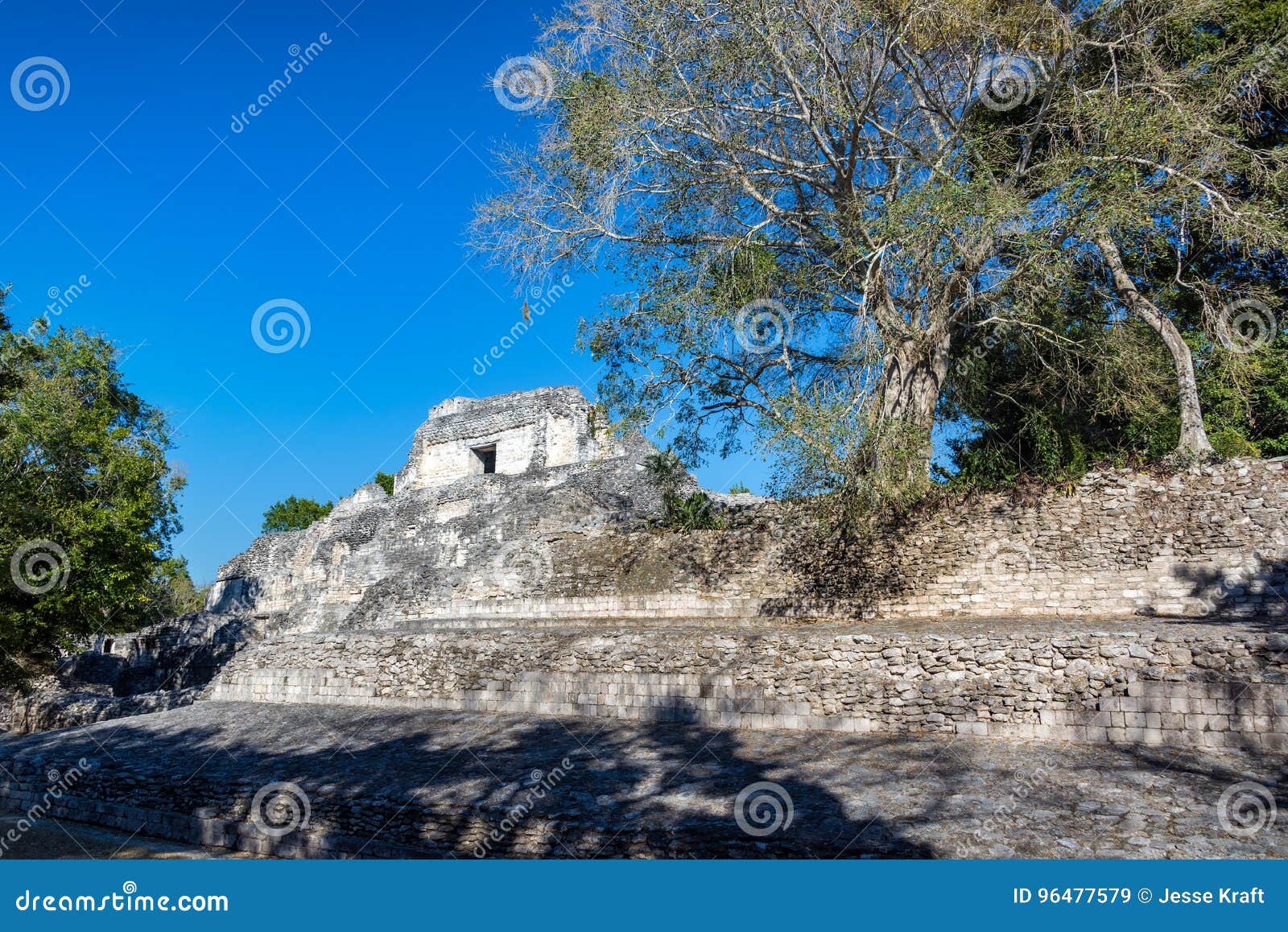 Becan Ruins and Trees stock image. Image of becan, campeche - 96477579