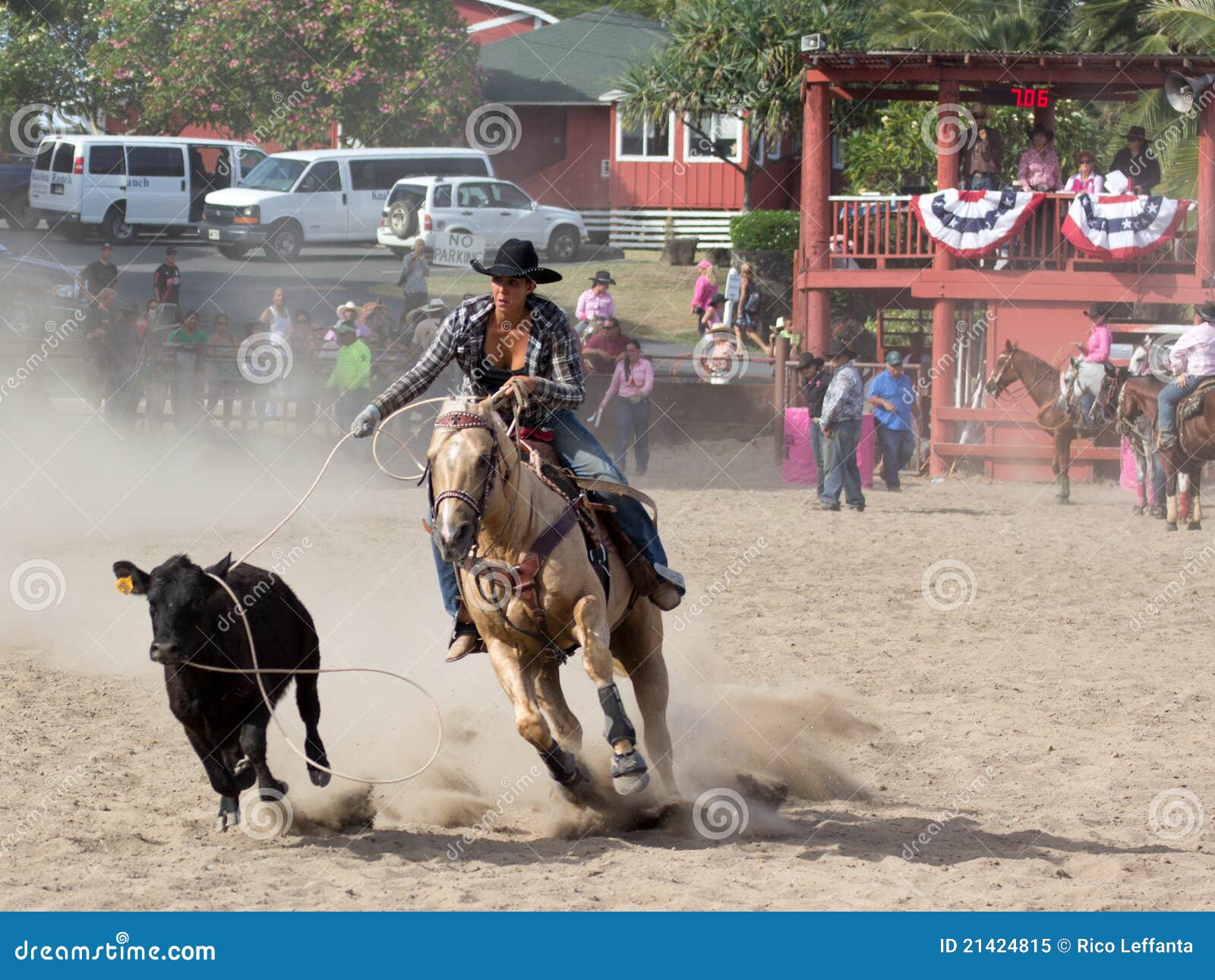 Becerro Roping 3 imagen editorial. Imagen de pecho, rico - 21424815