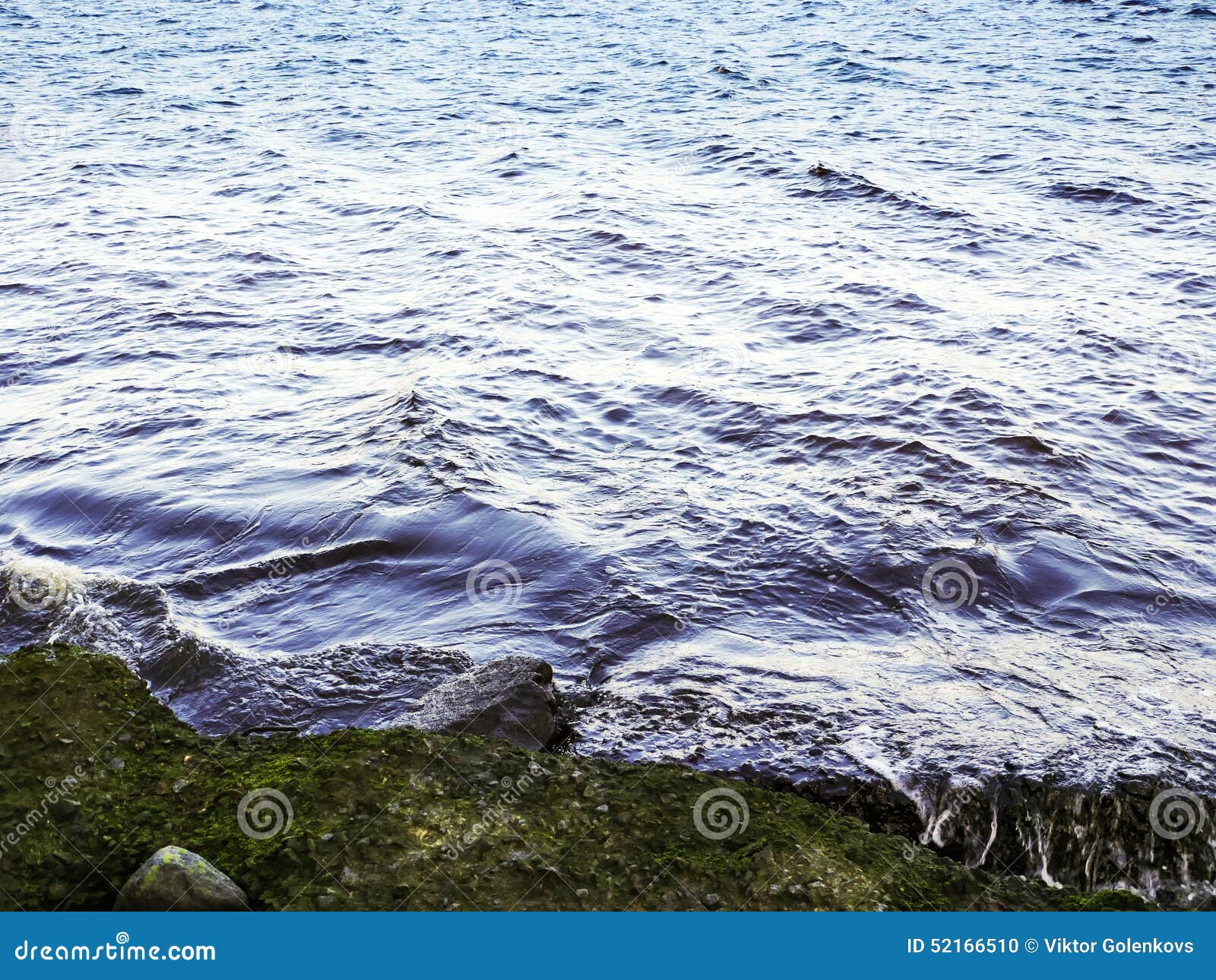 Bech and Stone Near the Ocean Stock Photo - Image of green, pattern ...