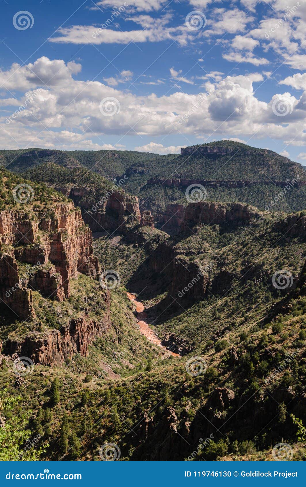 Becker Butte and the Salt River Stock Photo - Image of petrified ...