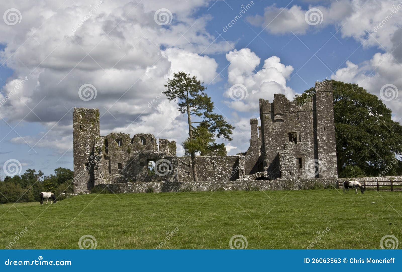 Bective Abbey stock image. Image of irish, building, abbots - 26063563