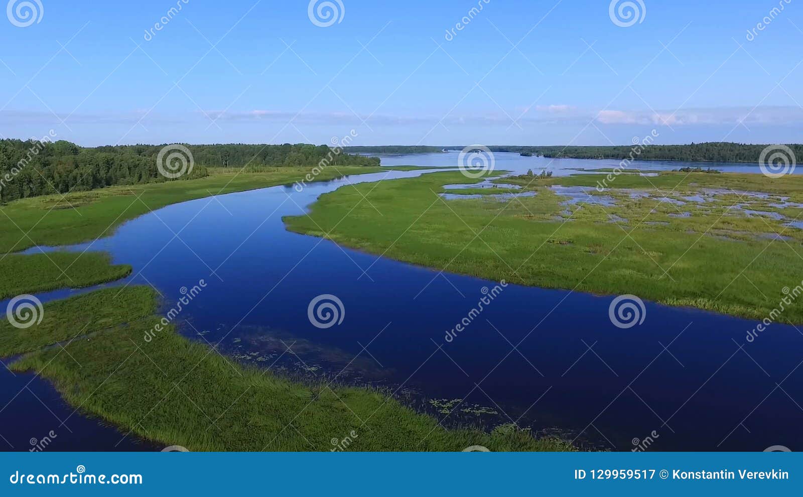 Bed of the Big River in Summer Stock Video - Video of forest, park ...