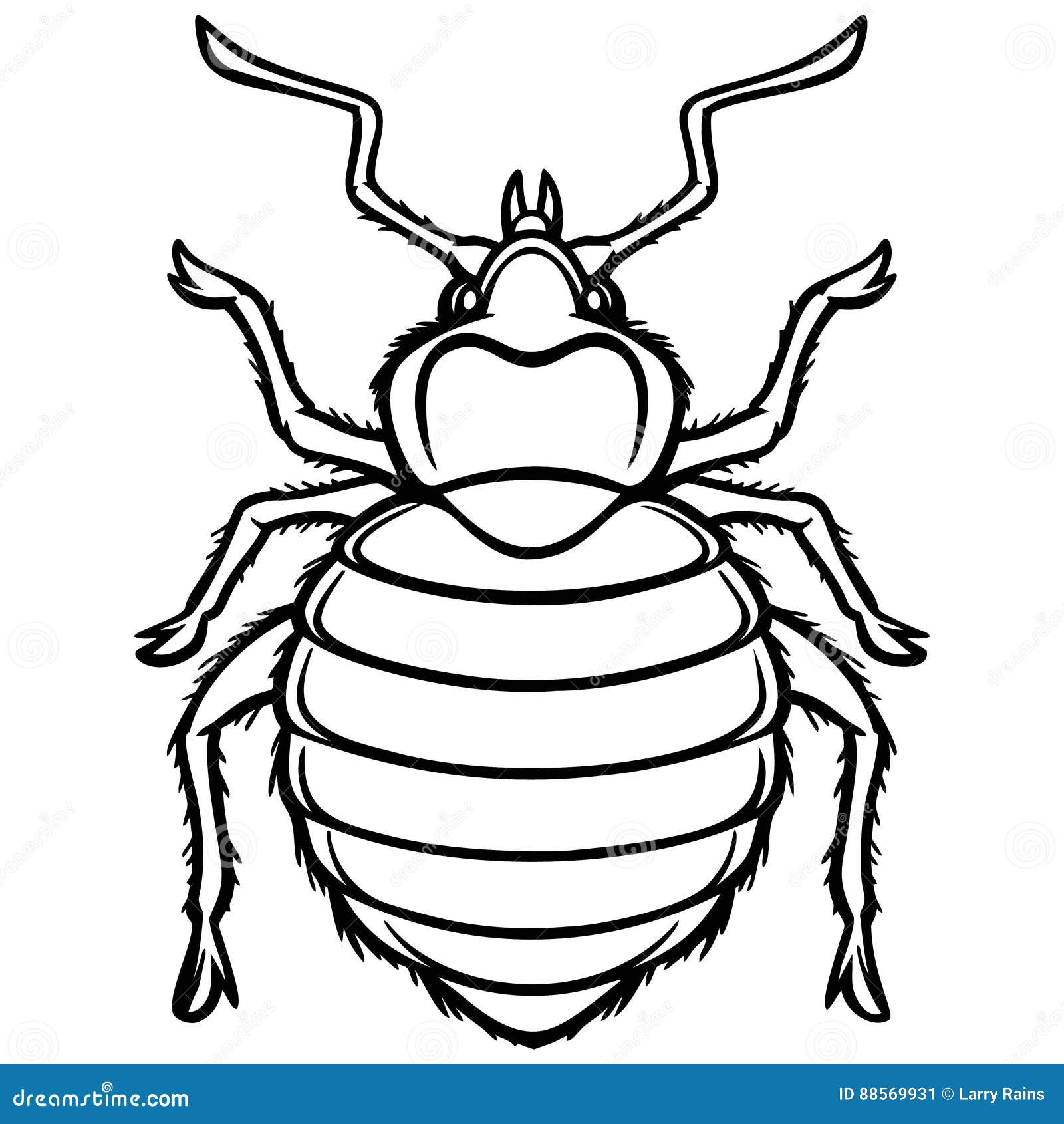 Bed Bug Graphic Illustration Stock Vector - Illustration of parasitic ...