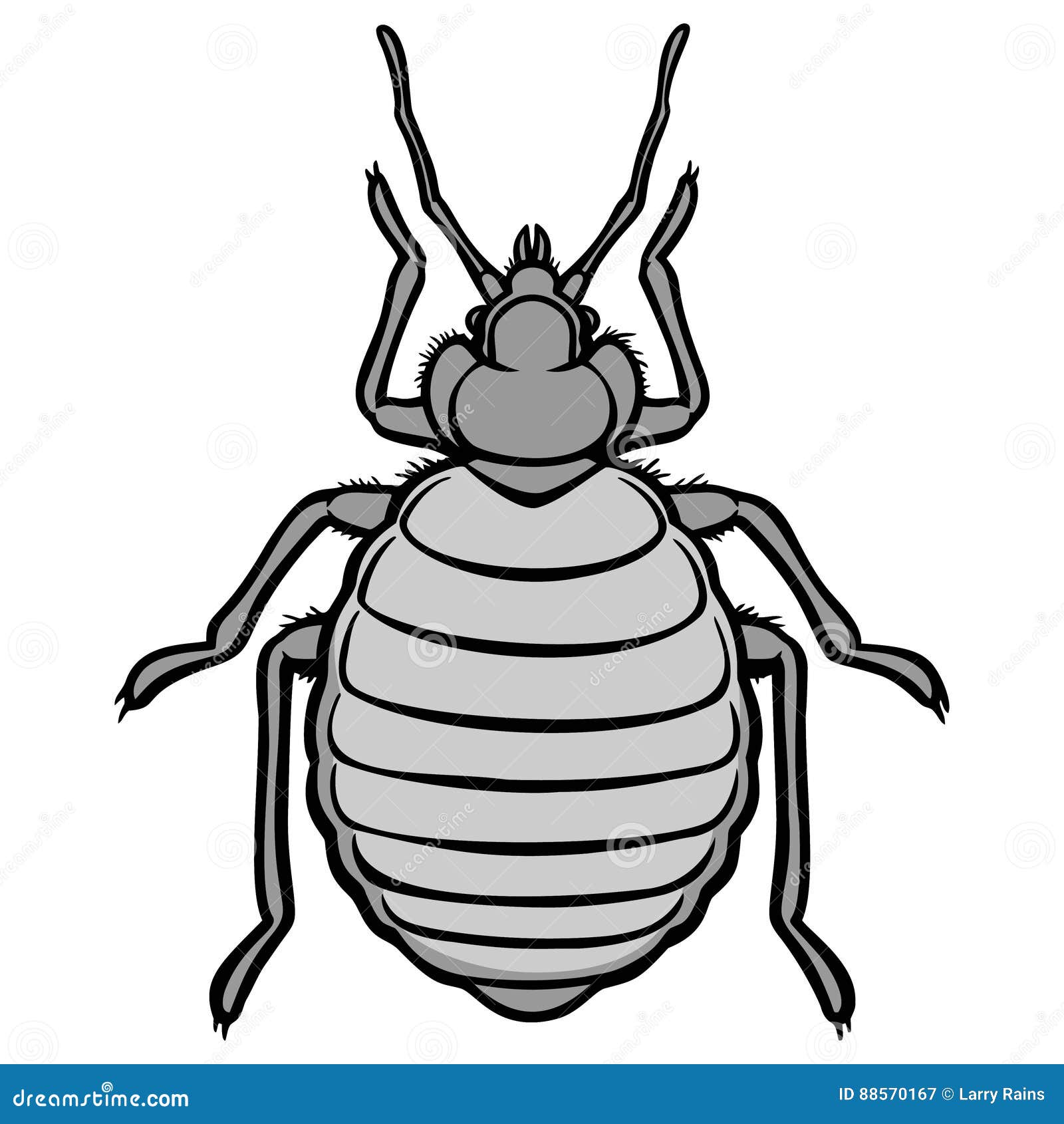 Bed Bug Icon Illustration stock vector. Illustration of bloodsucking ...