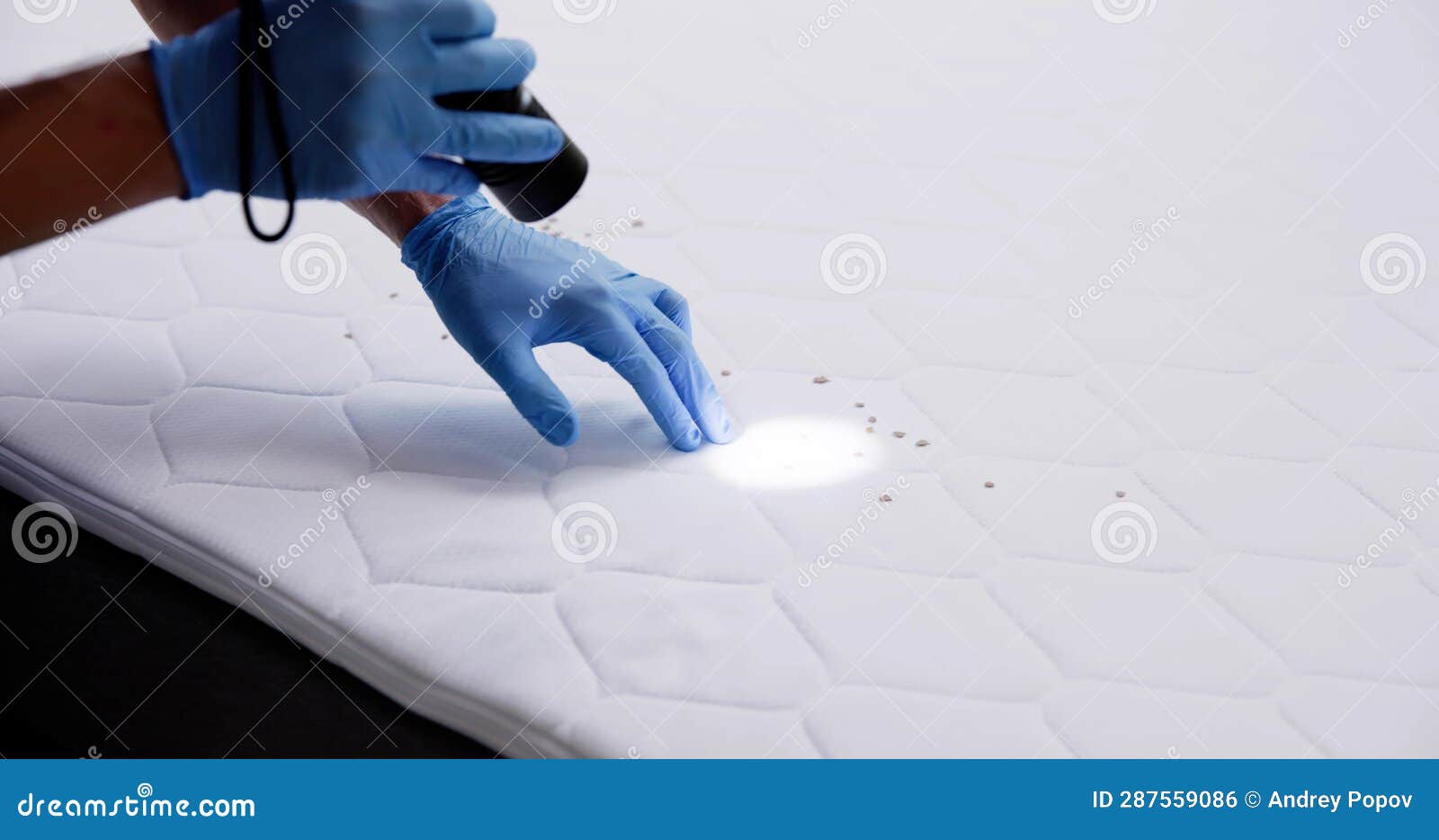 Bed Bug Infestation and Treatment Service Stock Photo - Image of banner ...