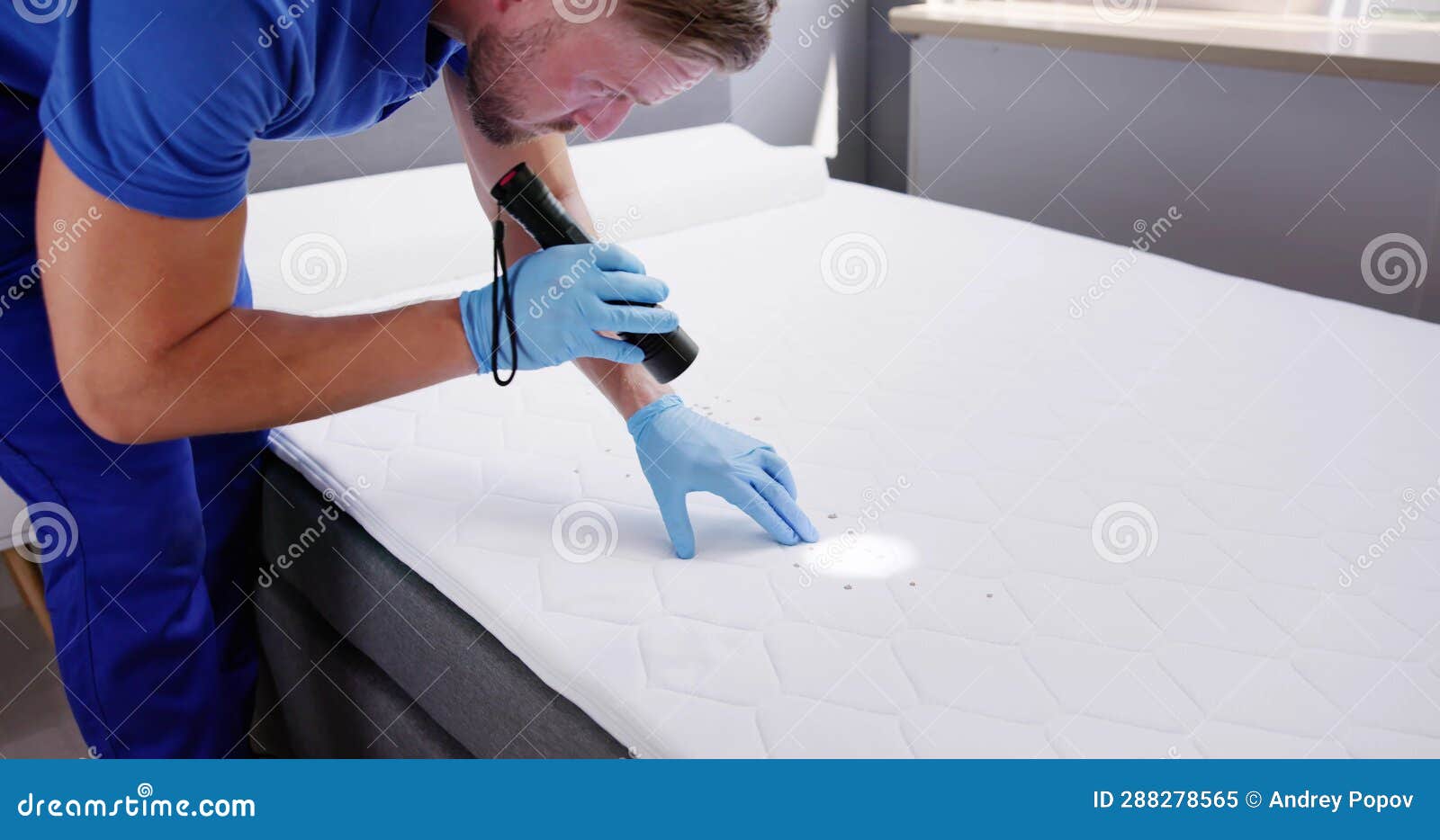 Bed Bug Infestation and Treatment Service Stock Image - Image of ...