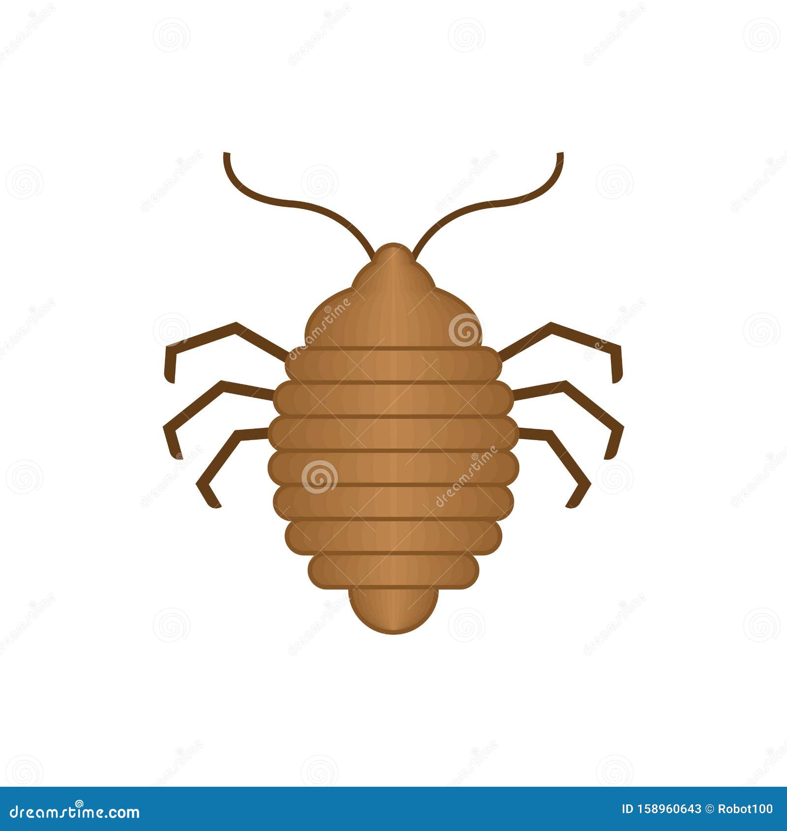 Bed bug isolated. bedbug stock vector. Illustration of disease - 158960643