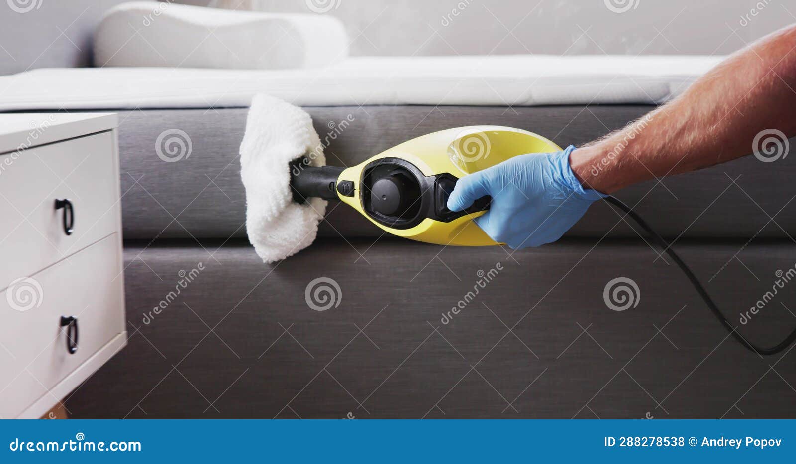 Bed Bug Pest Control Cleaning Stock Photo - Image of exterminator ...