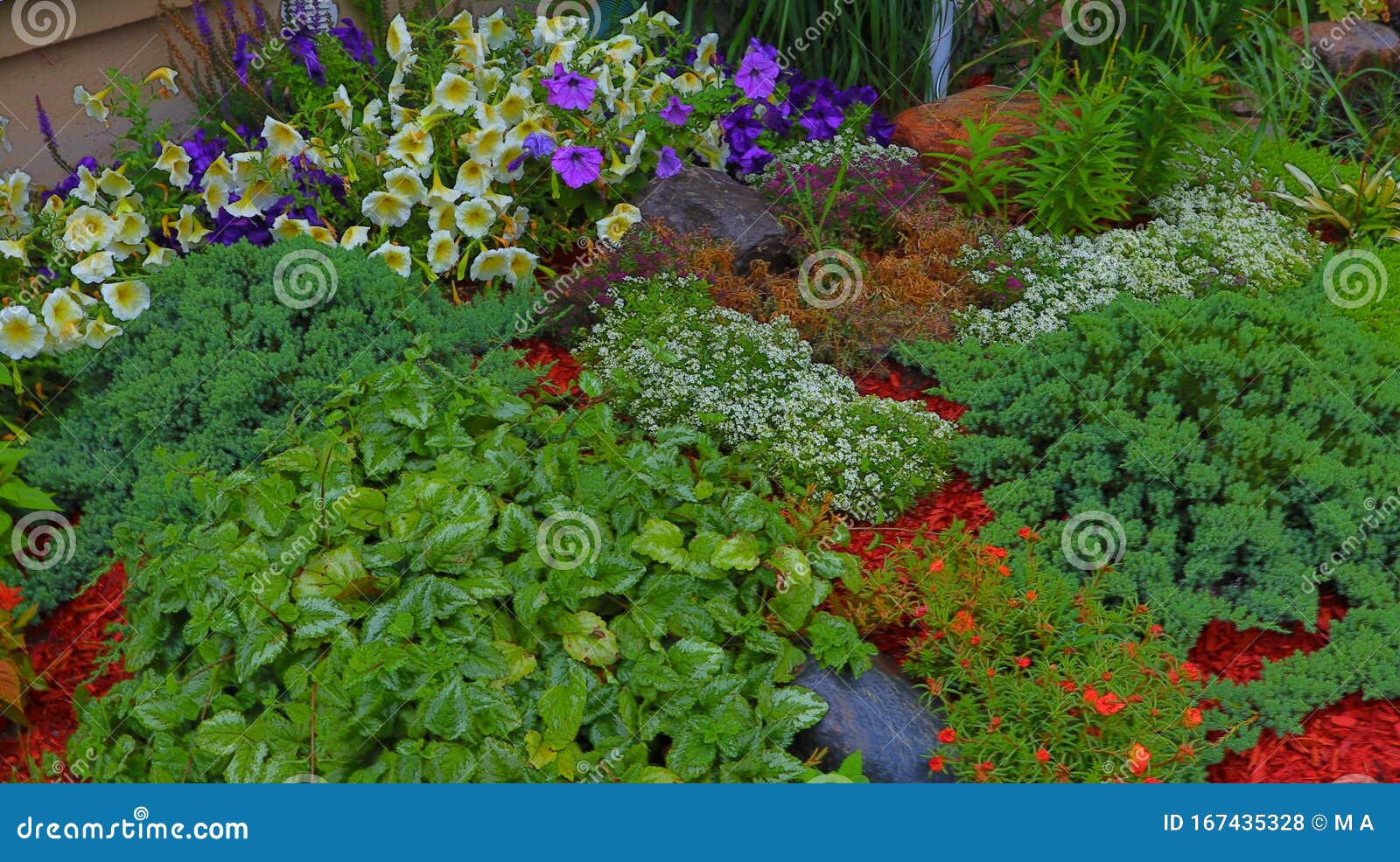 Bed of Colourful Assorted Plants Stock Photo - Image of assorted ...