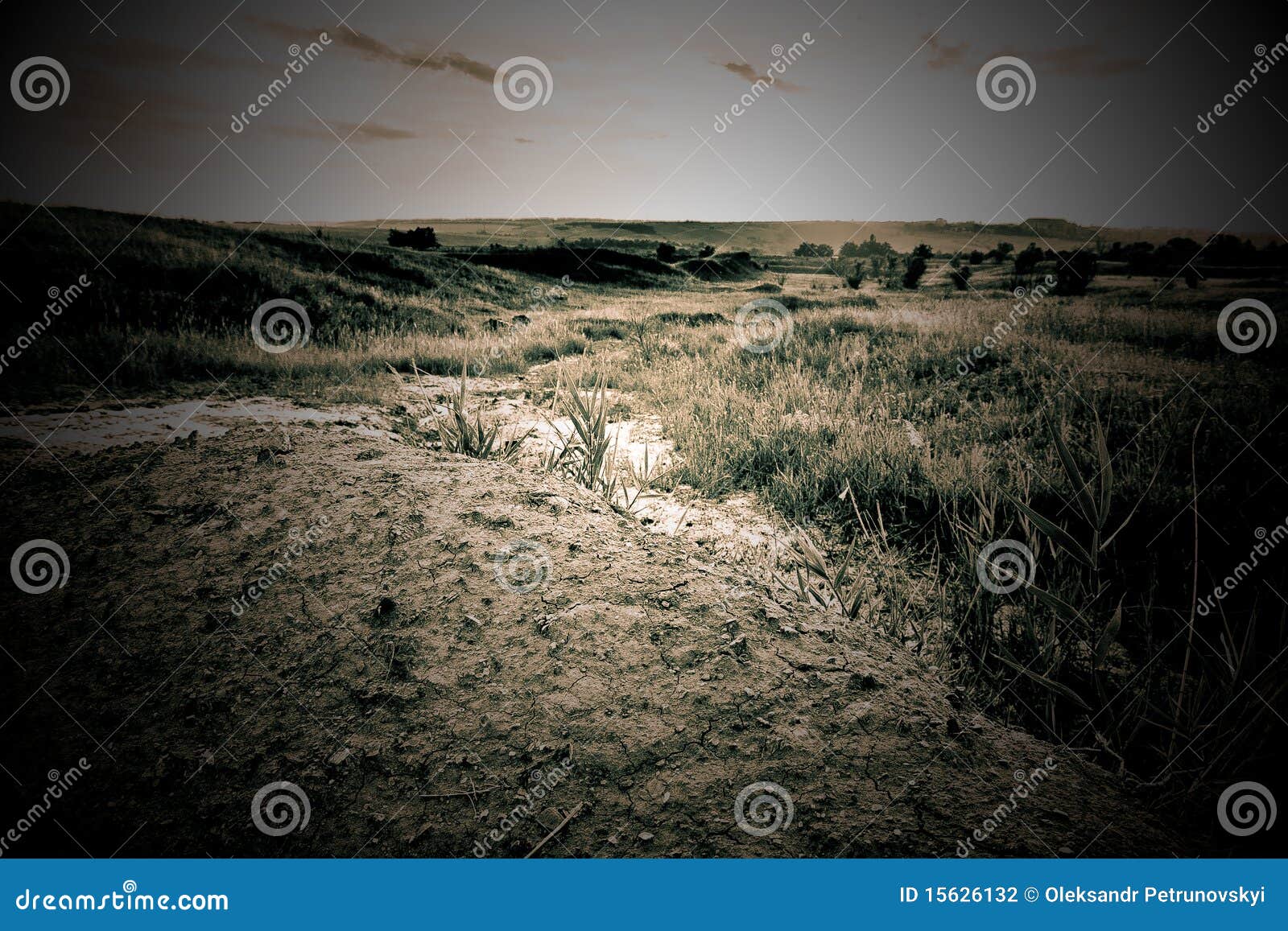 The Bed of a Dried-up Creek Stock Photo - Image of nature, monochrome ...