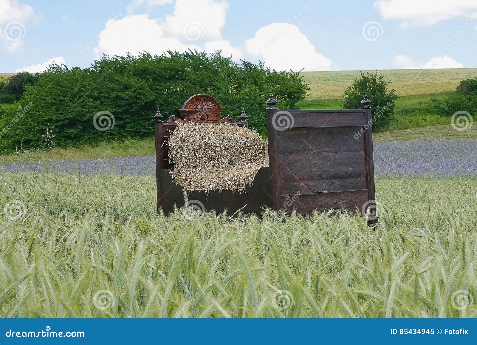 Bed in a grain field stock image. Image of trees, straw - 85434945