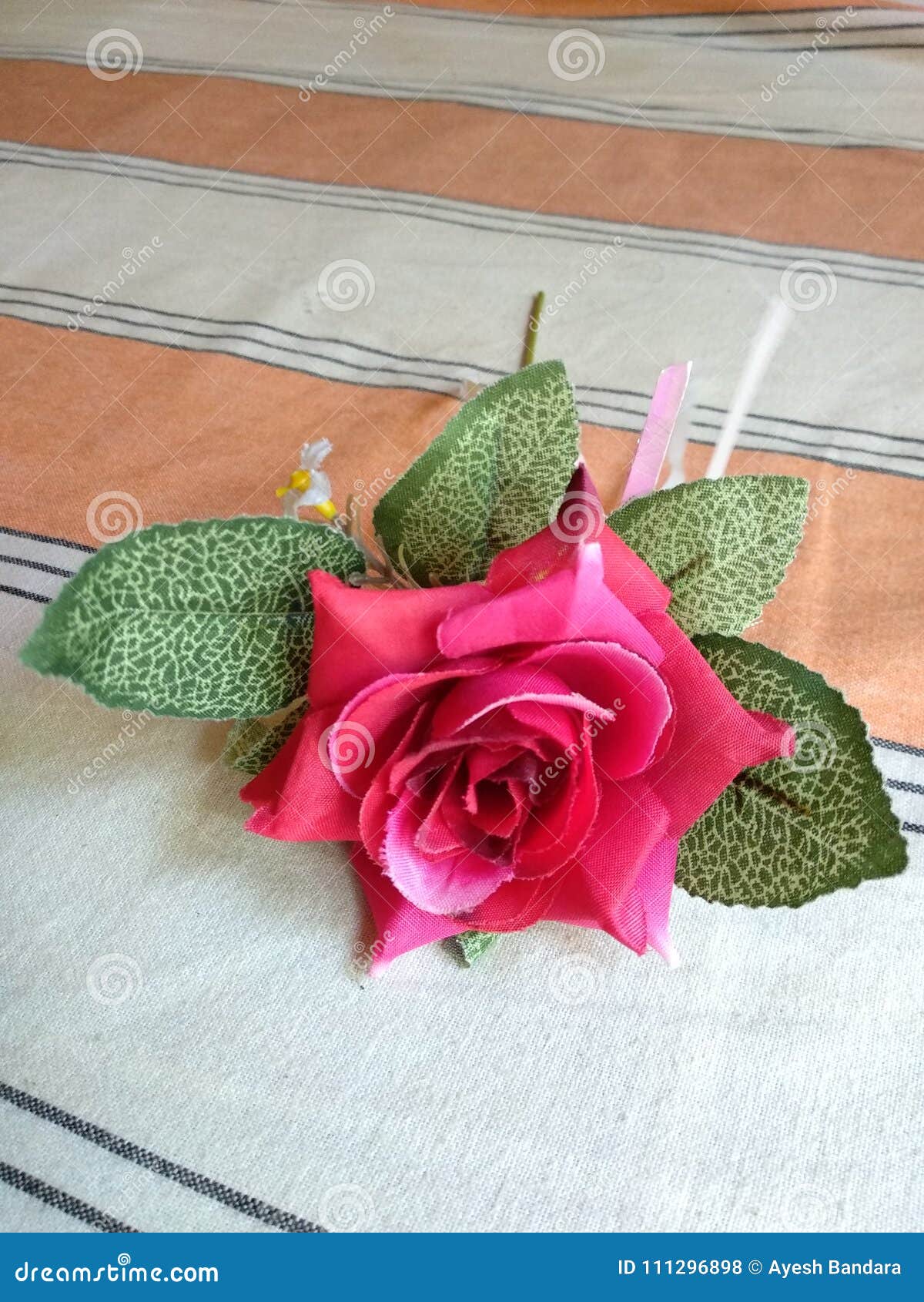 Read rose stock photo. Image of lovly, happy, read, rose - 111296898