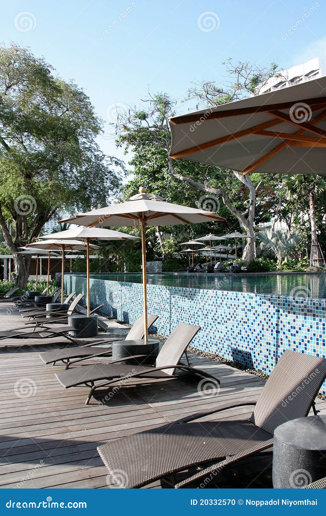 Bed beside the pool. stock photo. Image of swim, bathing - 20332570