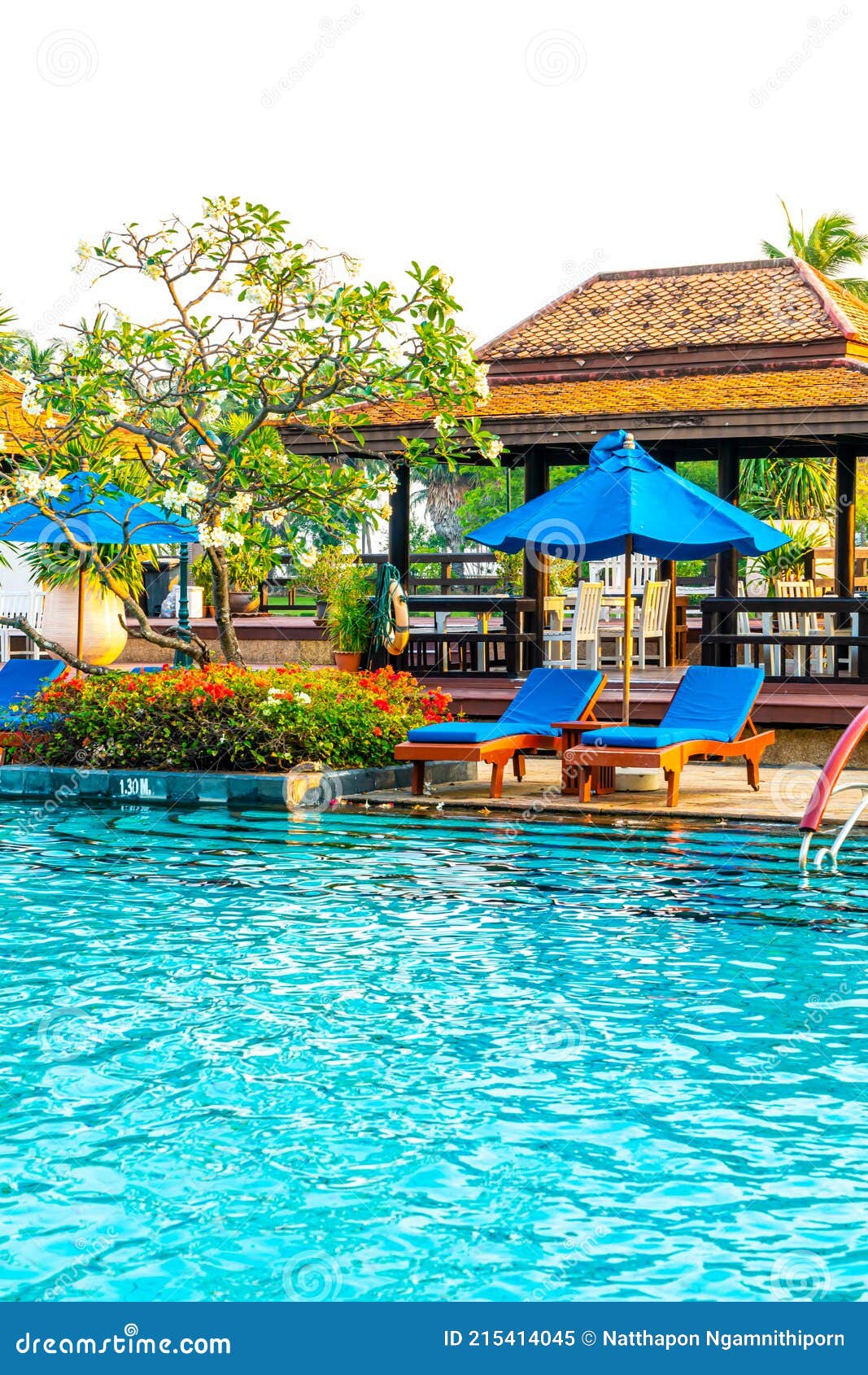 Bed Pool Around Swimming Pool in Hotel Resort Stock Image - Image of ...