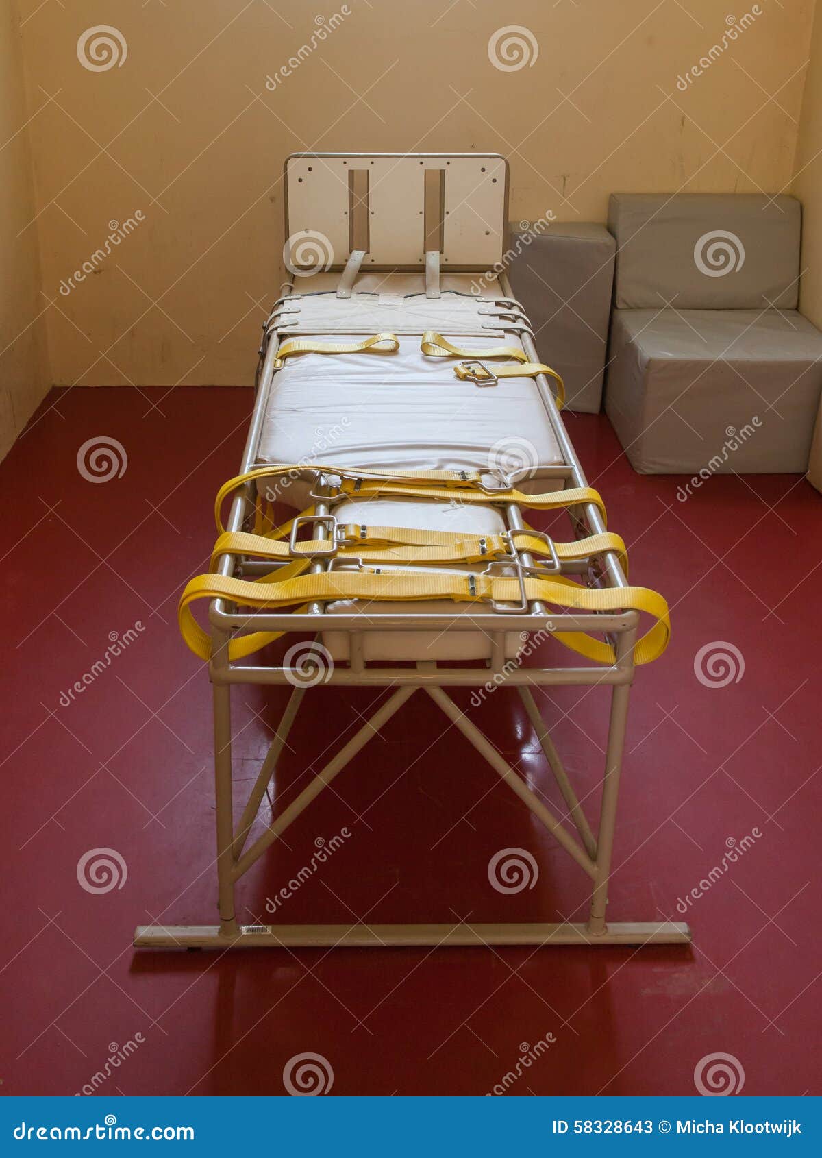 Psychiatric Hospital Restraints