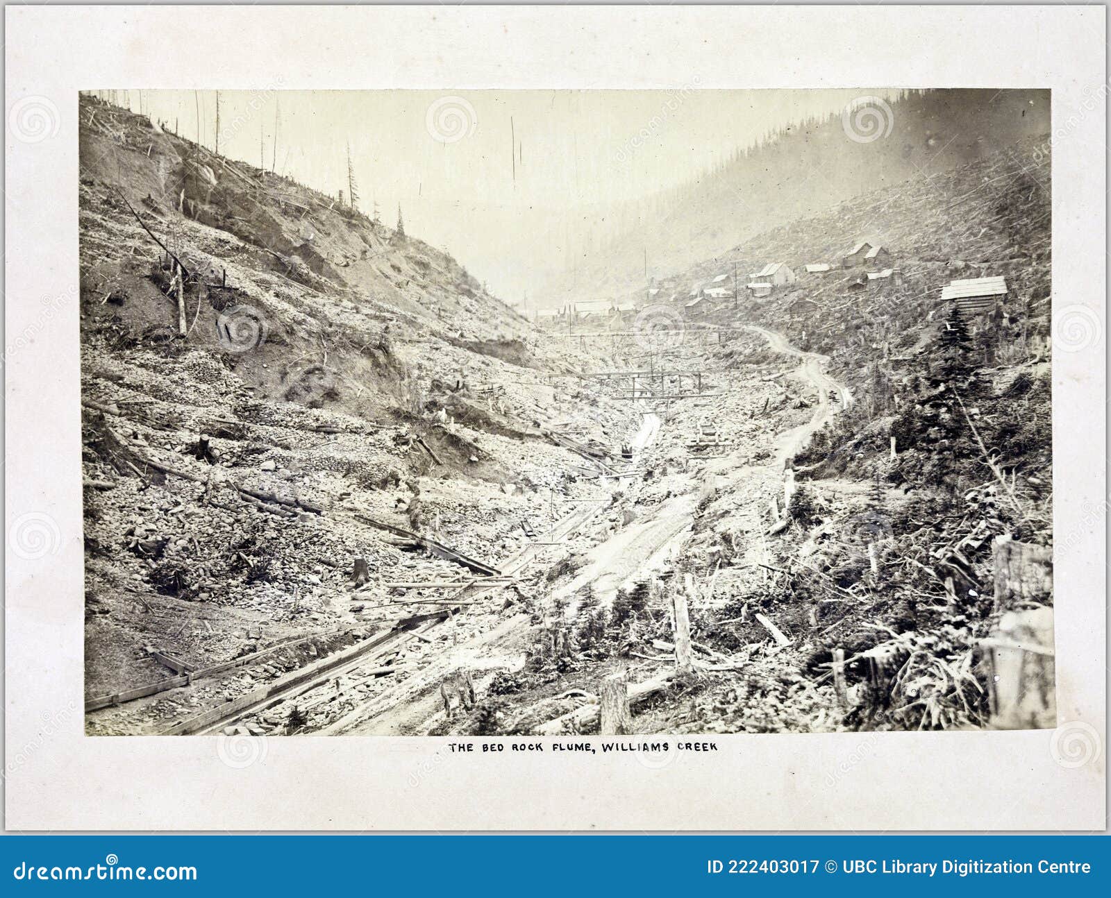 The Bed Rock Flume, Williams Creek Picture. Image: 222403017