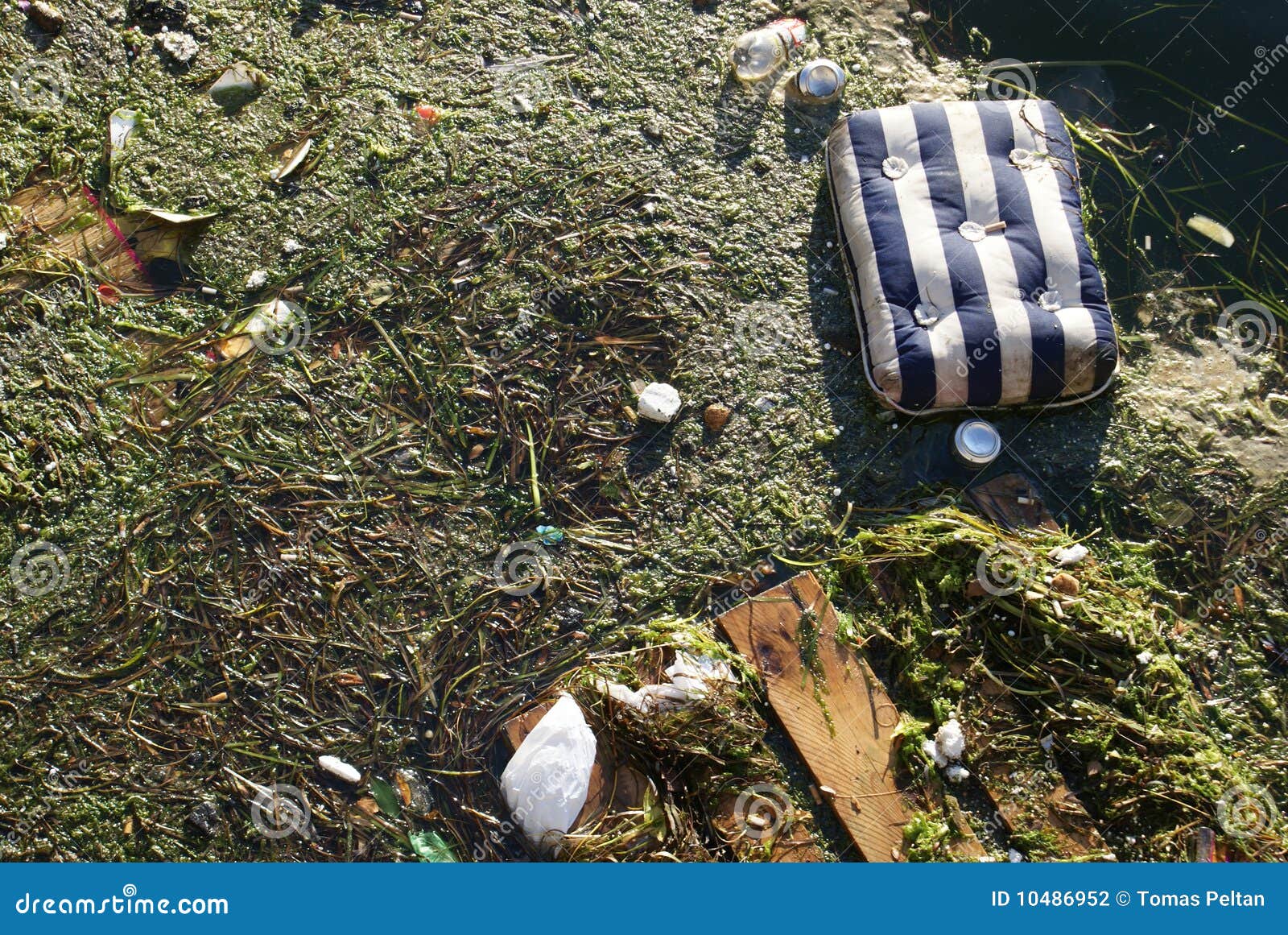 Bed of Waste stock photo. Image of denmark, copenhagen - 10486952